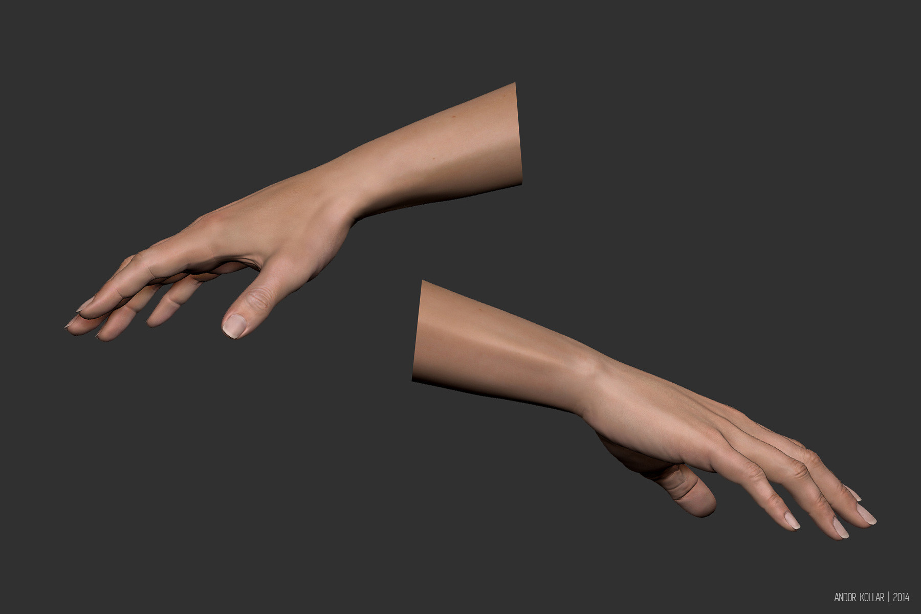 Andor Kollar - Female Hand Study