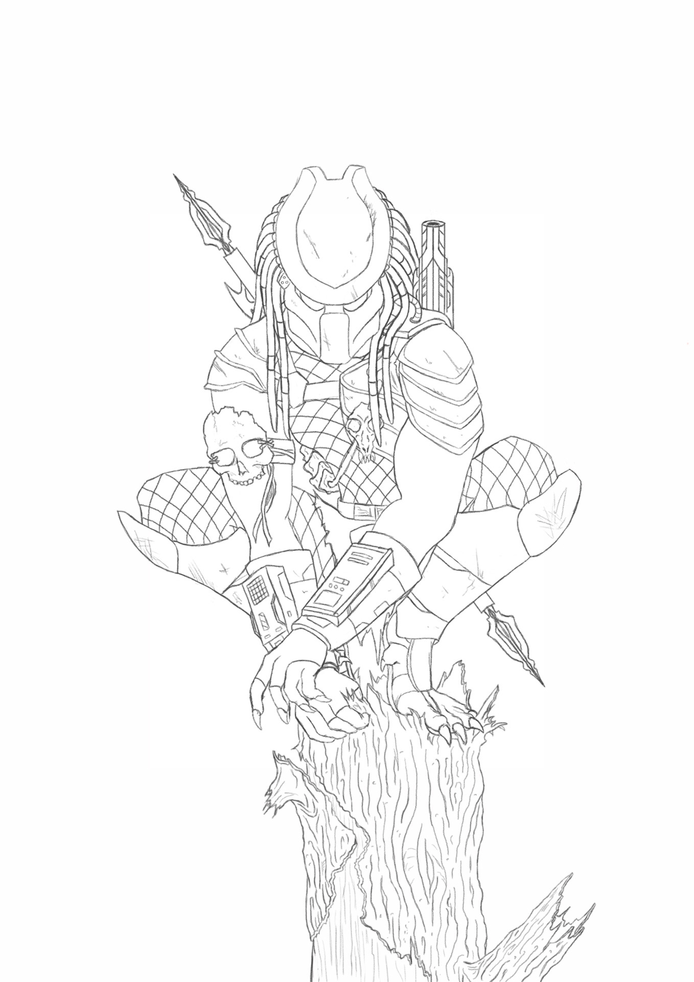 predator colouring pictures