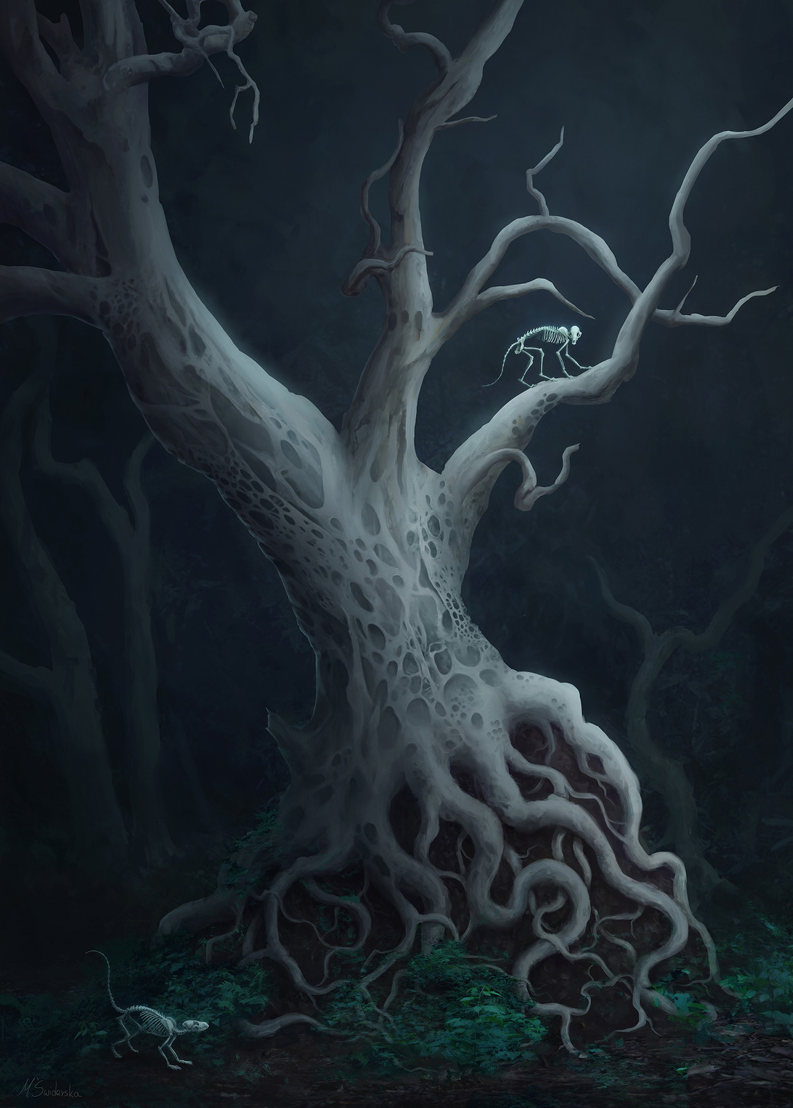 Magdalena Świderska