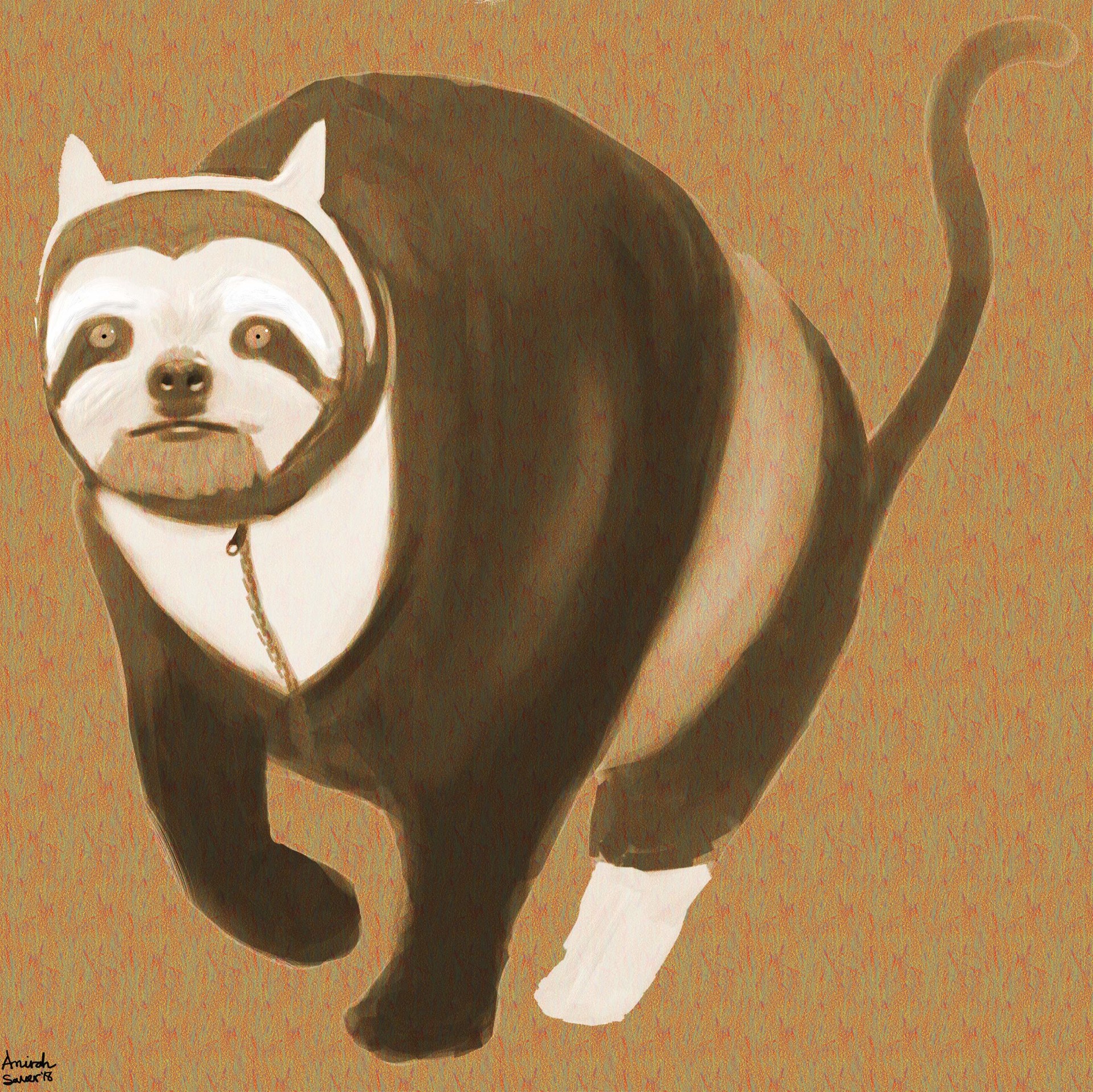 ArtStation - Cat Sloth