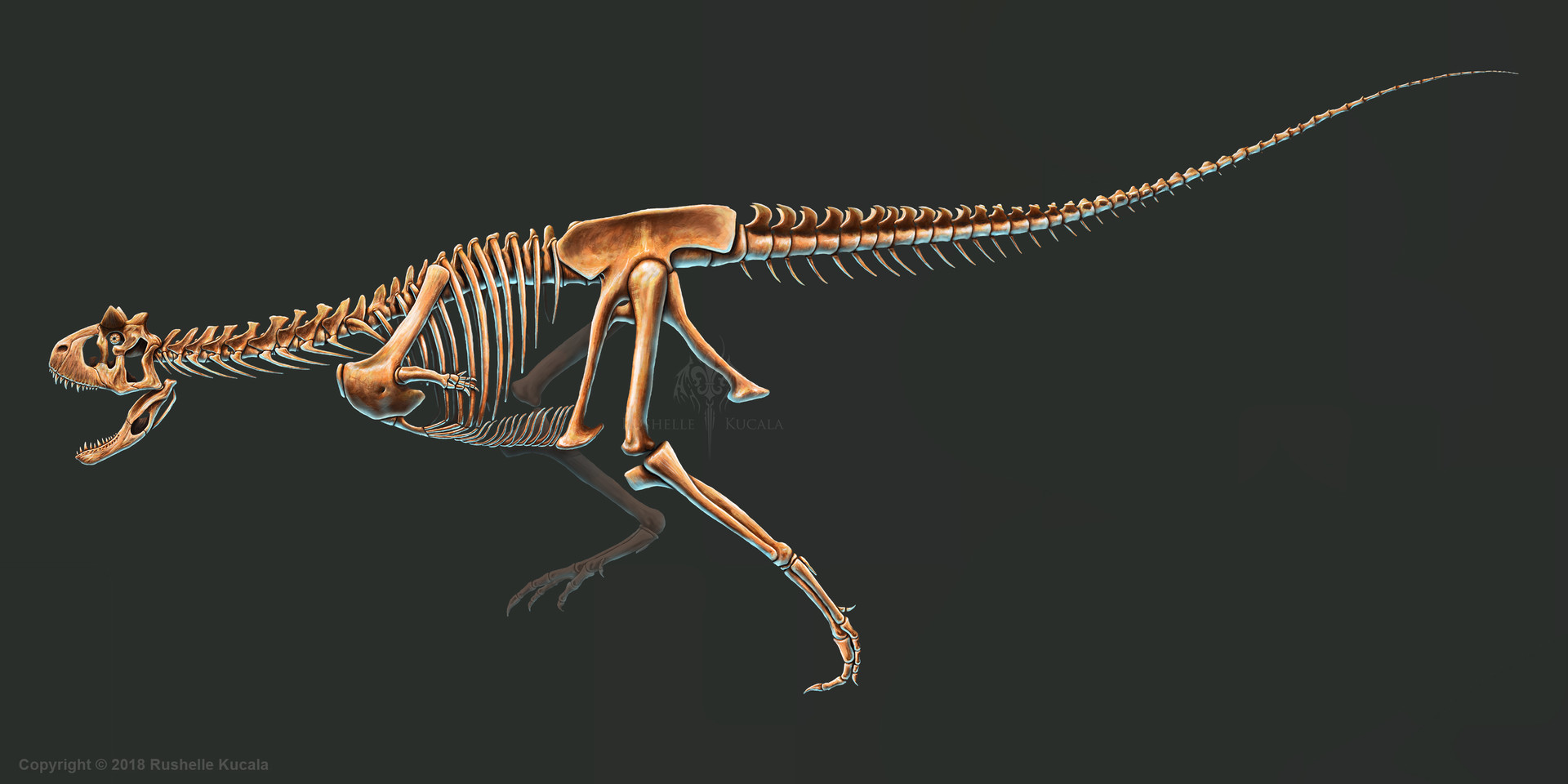 ArtStation - Carnotaurus sastrei Skeleton Study