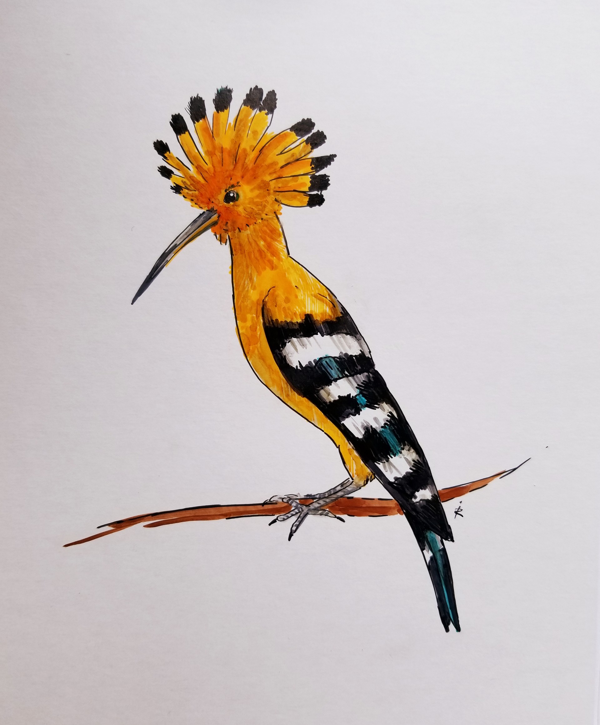 ArtStation - Hoopoe