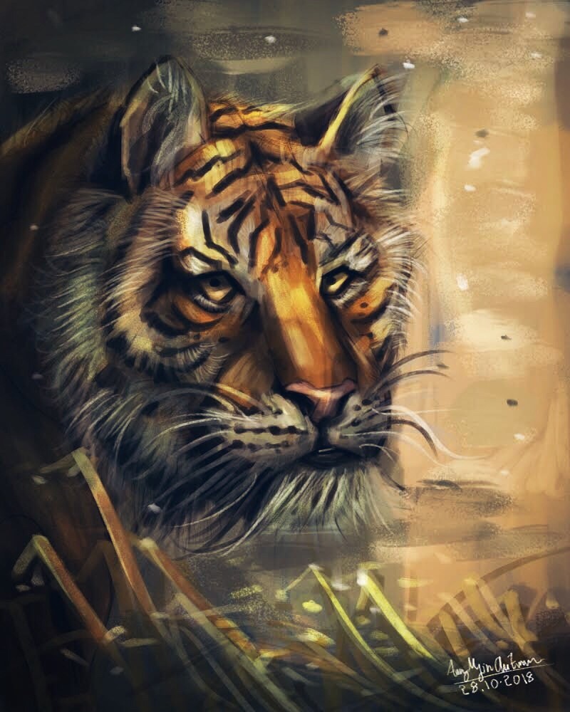 ArtStation - Tiger Drawing
