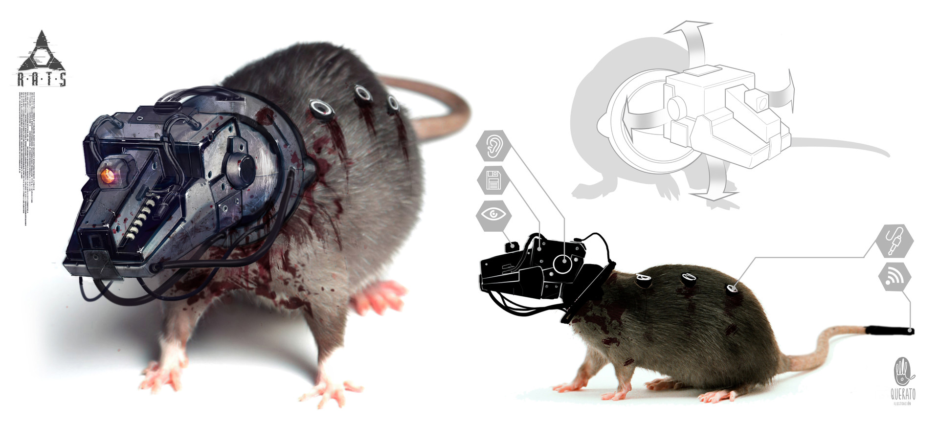 Querato Ilustracion - R.A.T.S PROJECT- THE RAT