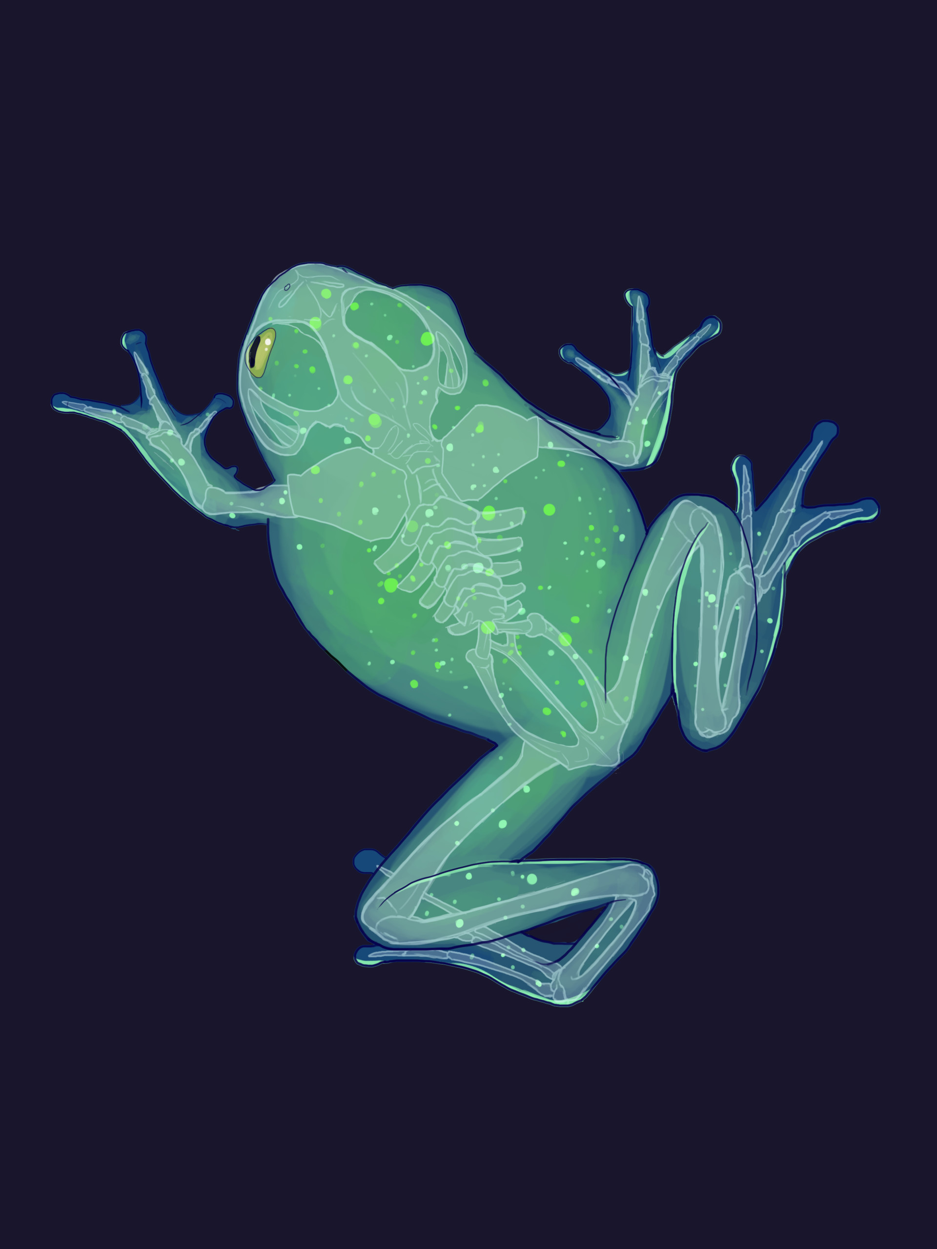 ArtStation - Constellation frog