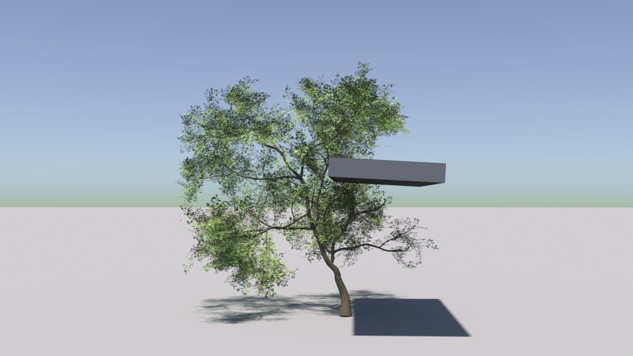David Bertin - Houdini experiments : Procedural tree - various tests