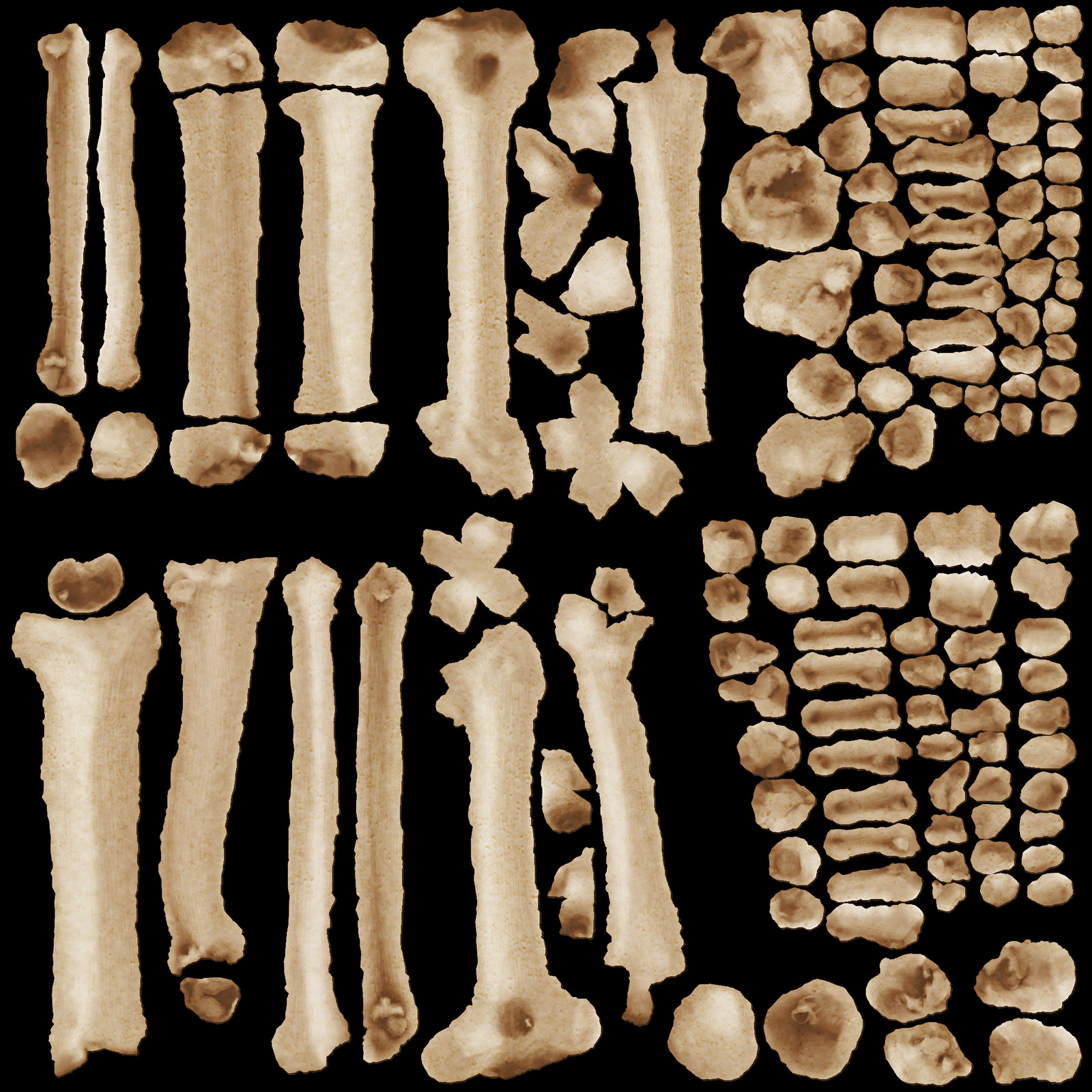 Ken Calvert - Anatomage Table Digital Cadaver
