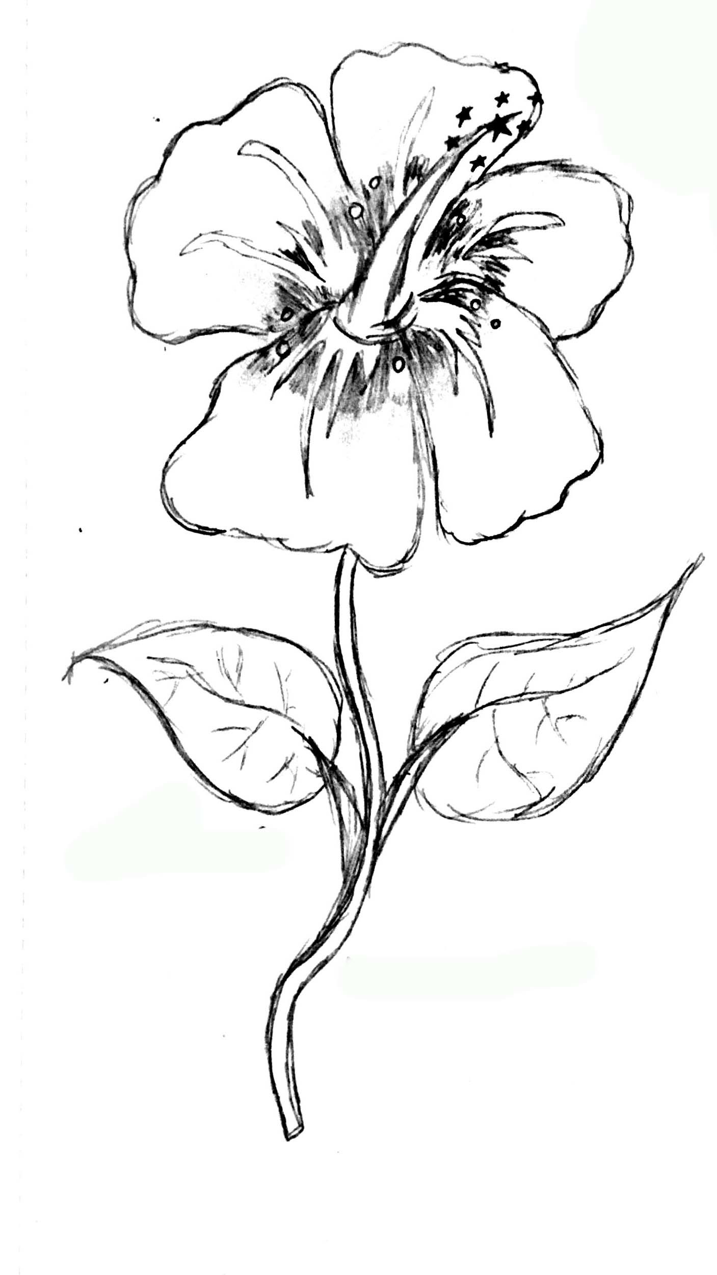 ArtStation - A3_Flower