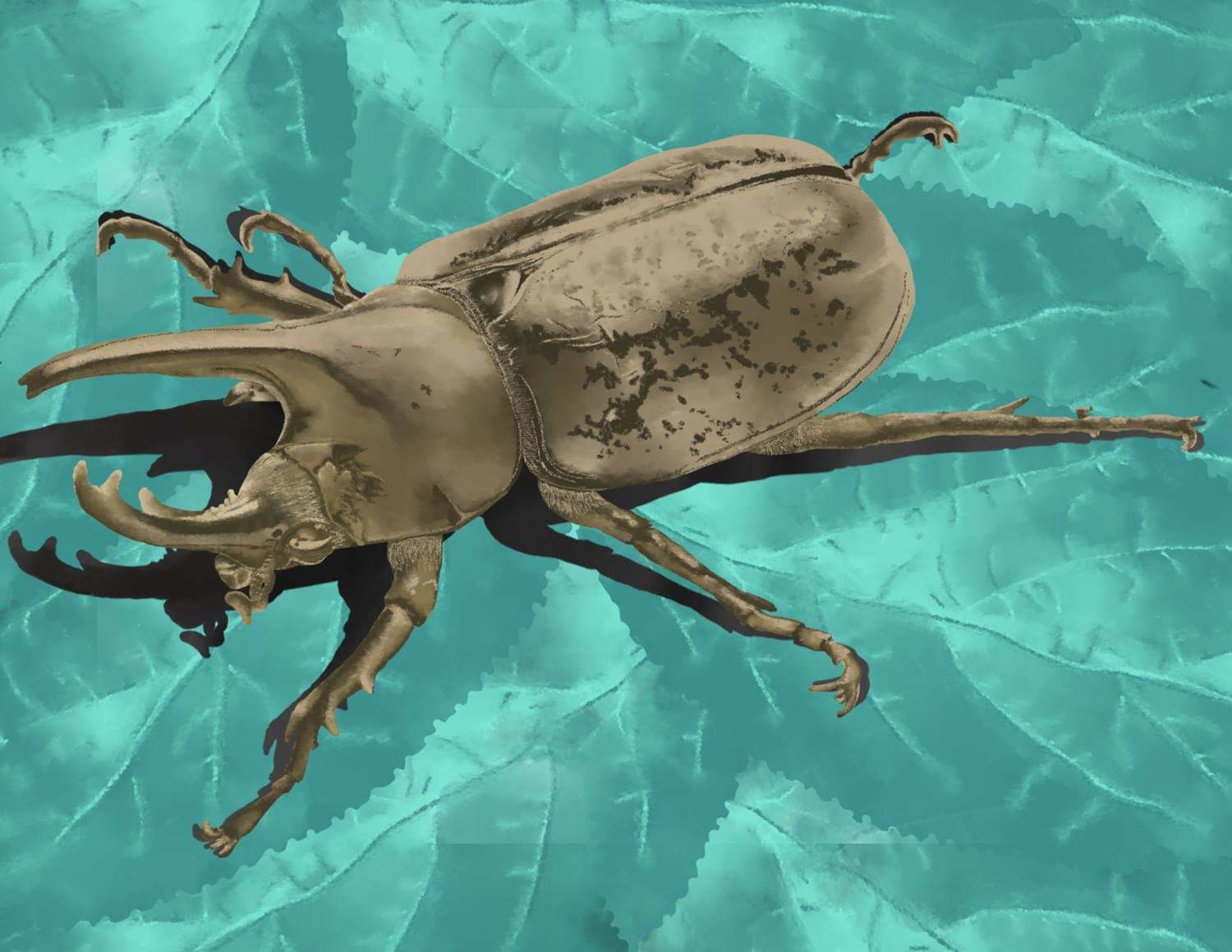 ArtStation - Beetle Line-Art Formation