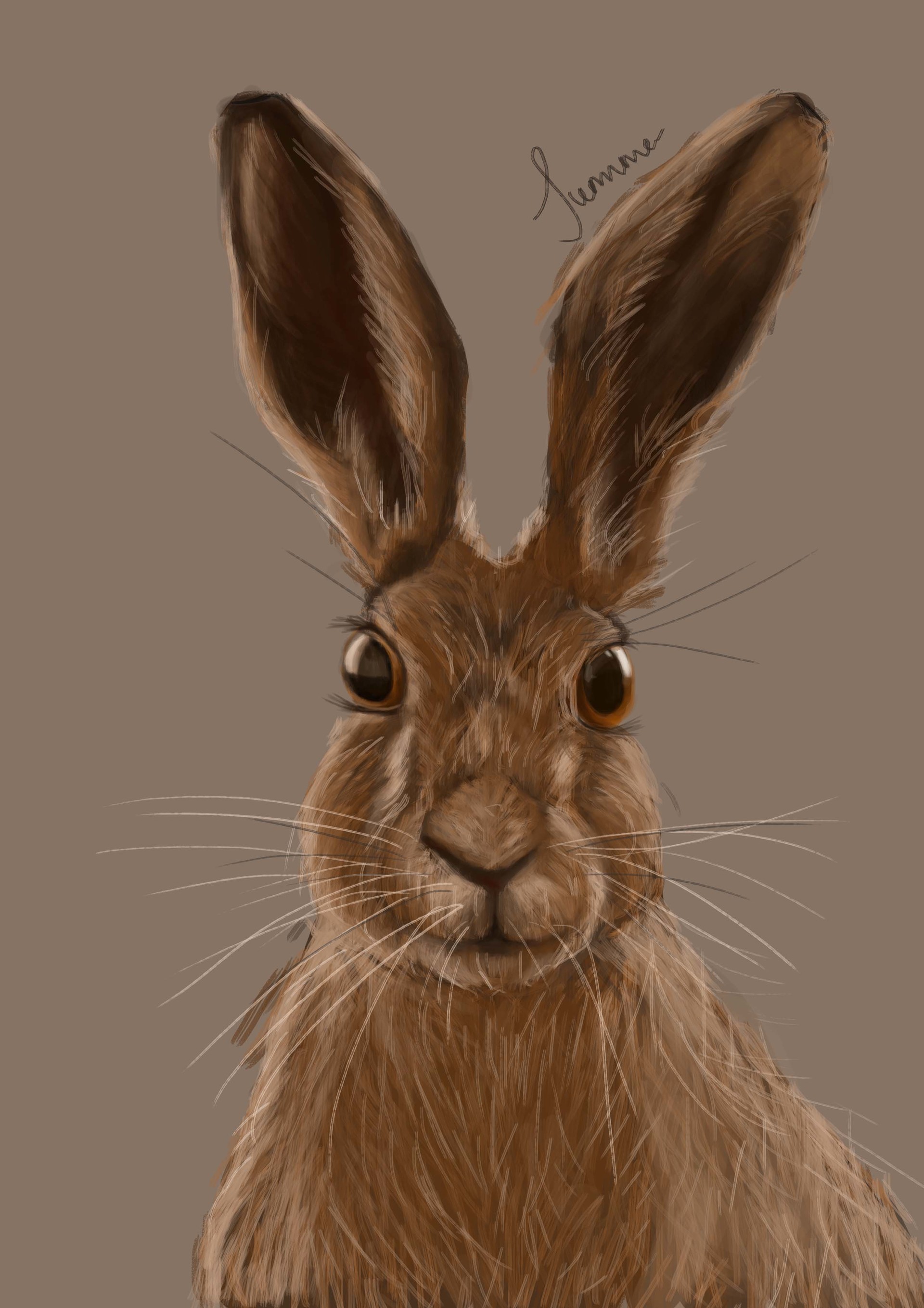 ArtStation - Hairy Hare