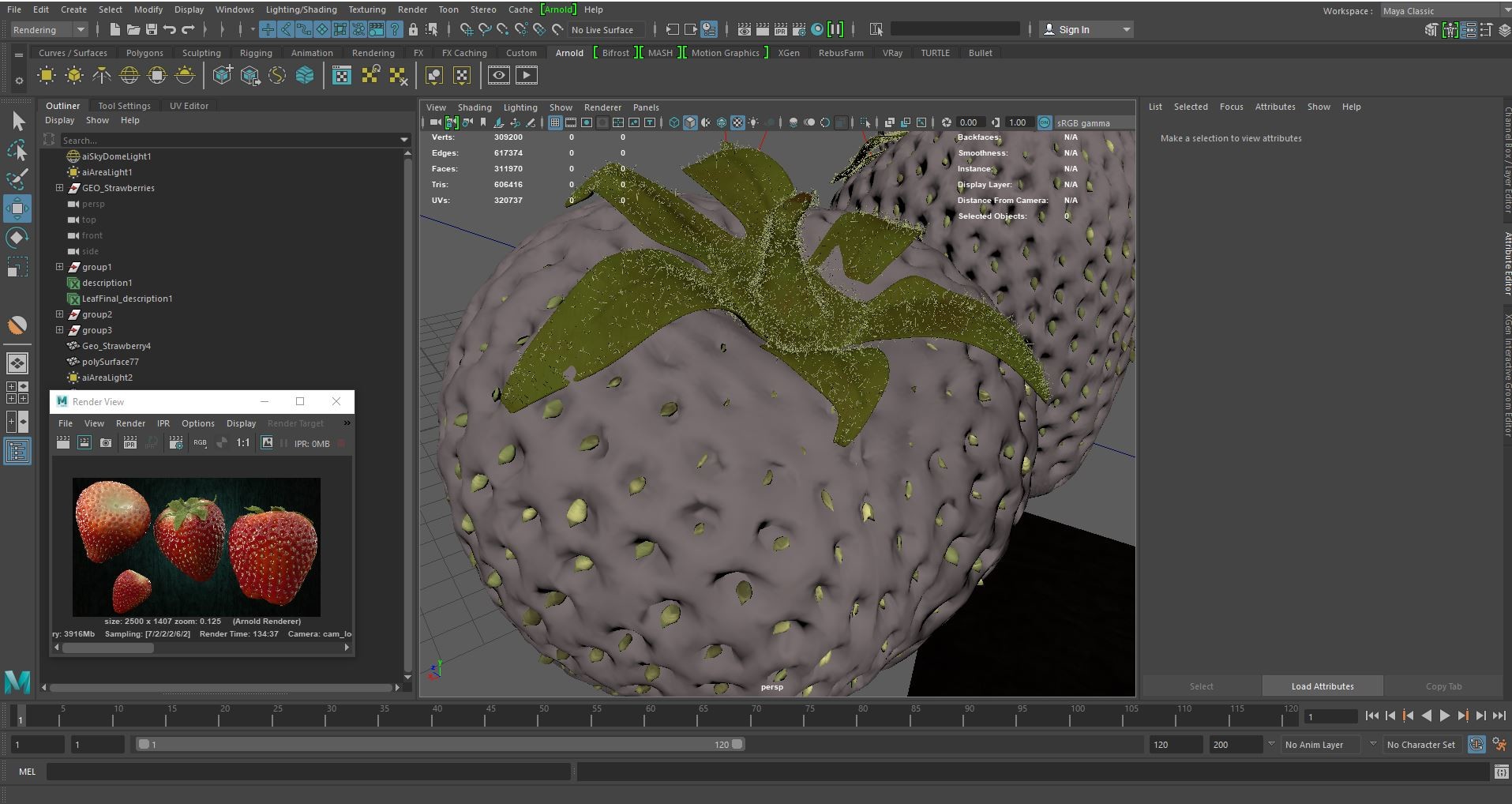 Veda Prashanth - STRAWBERRY TIME
