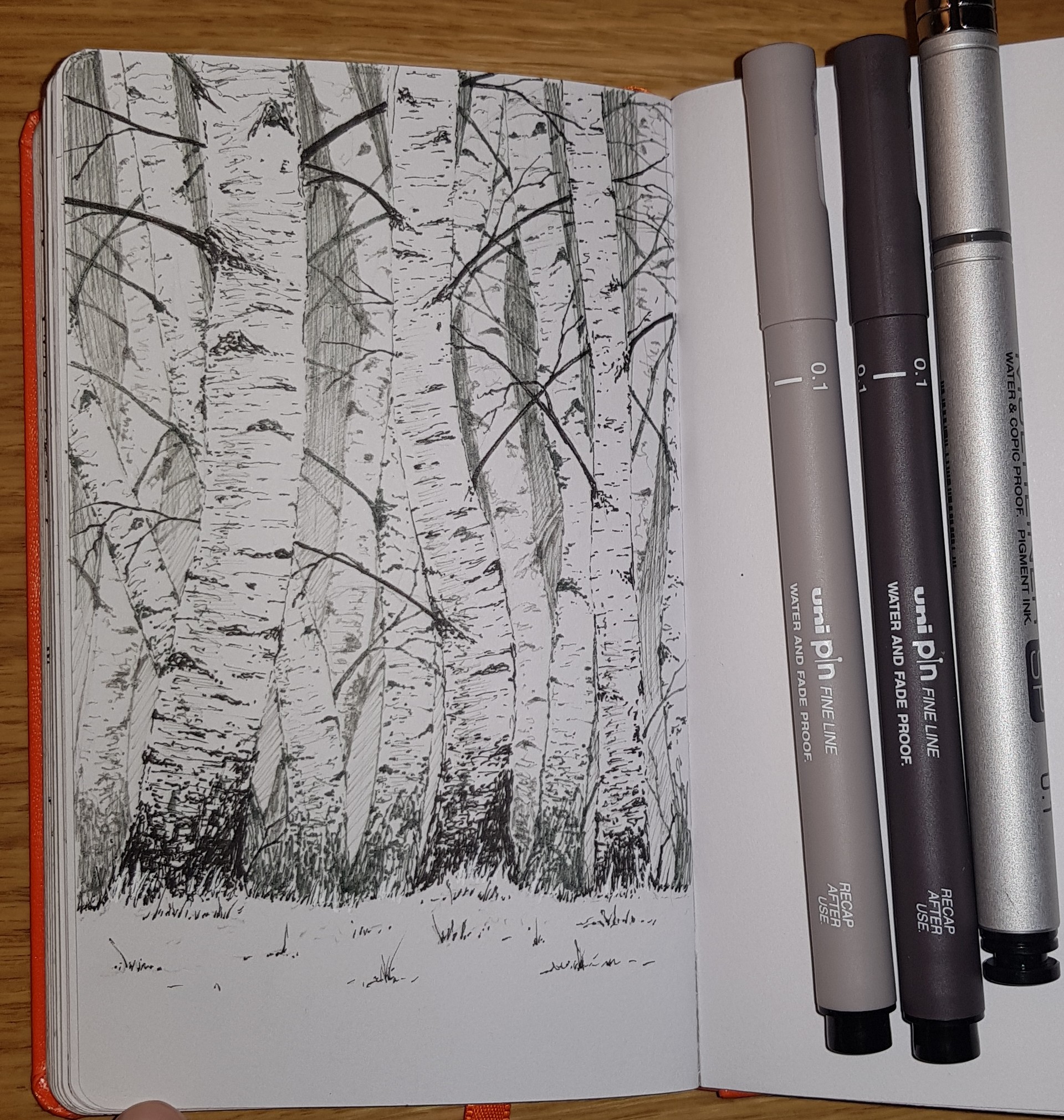 ArtStation - Silver Birch doodle