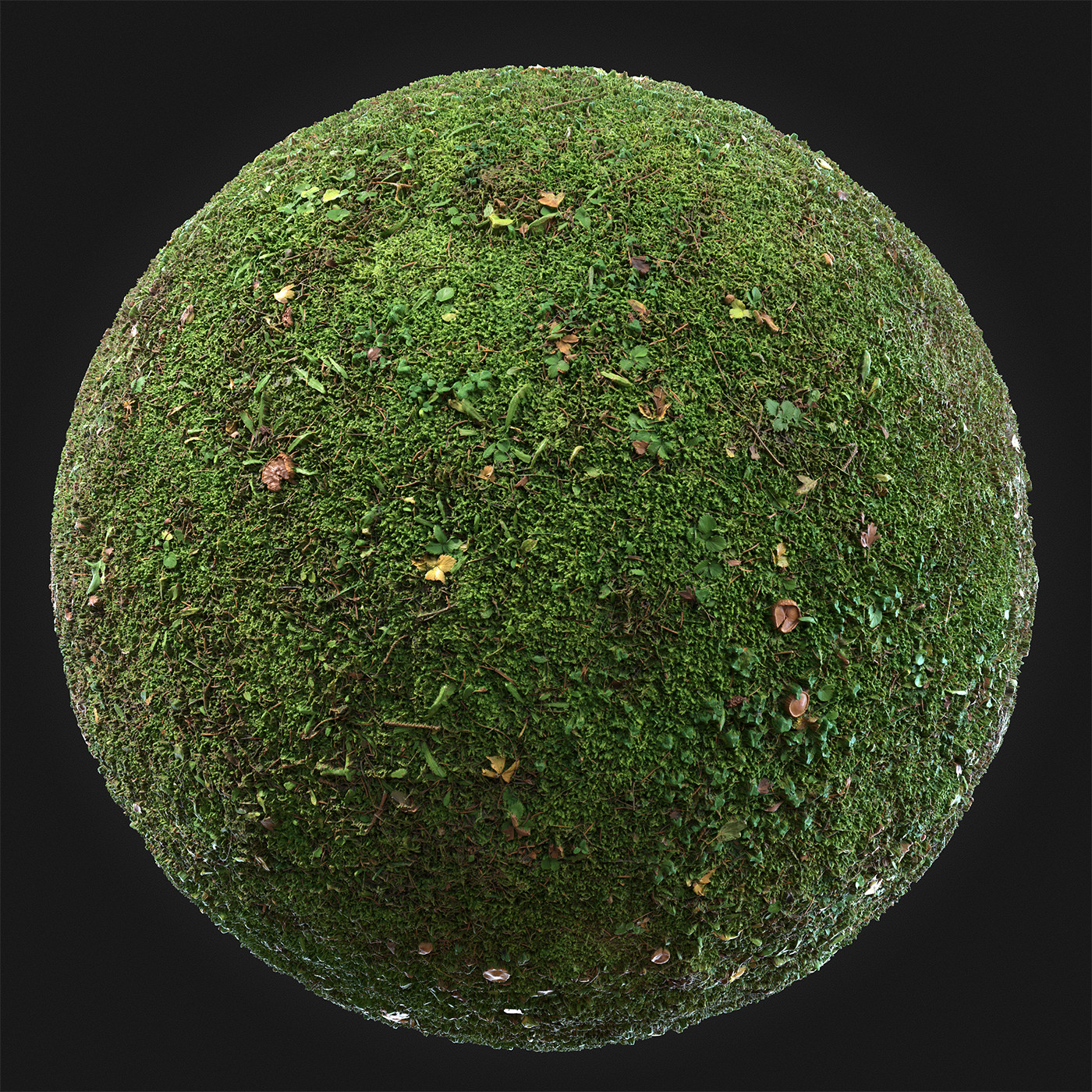 ArtStation - Mossy floor photoscan