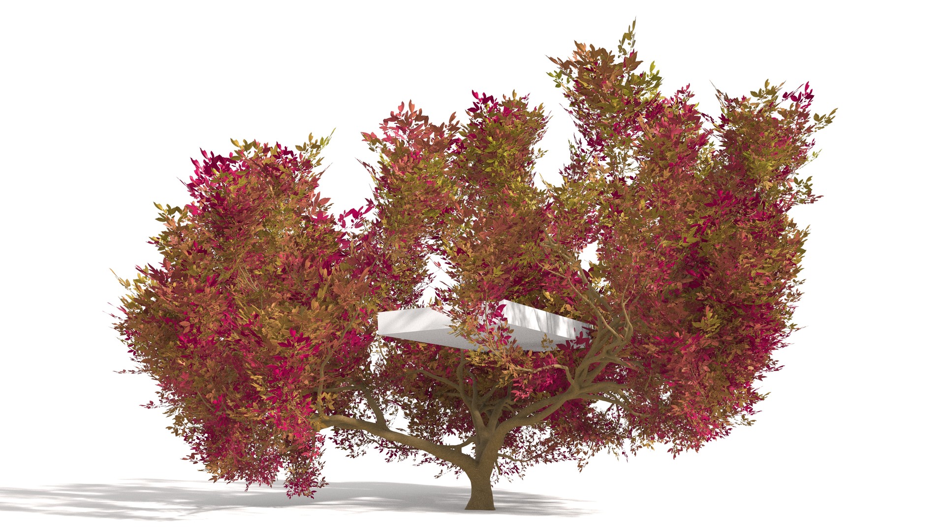 David Bertin - Houdini experiments : Procedural tree - various tests