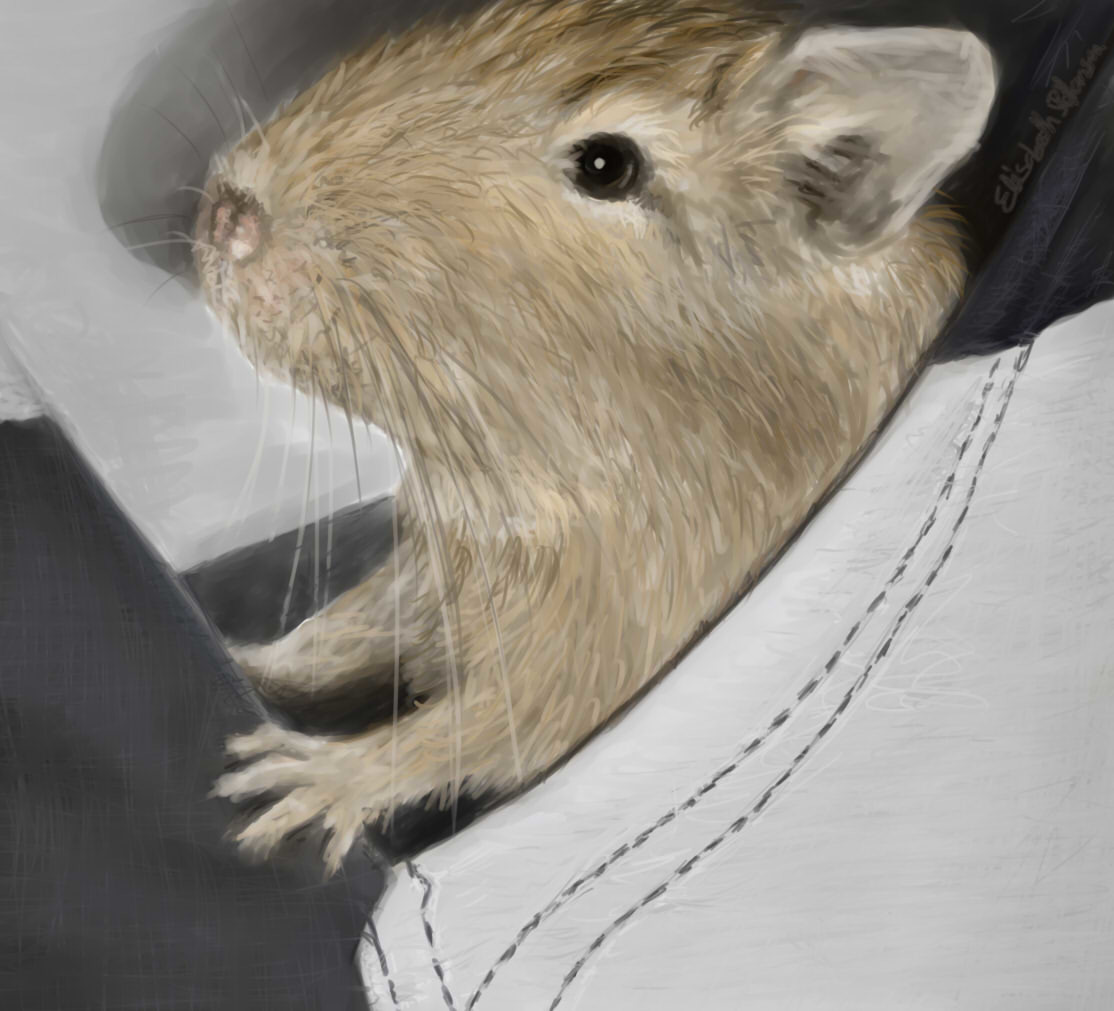 ArtStation - mix of animals