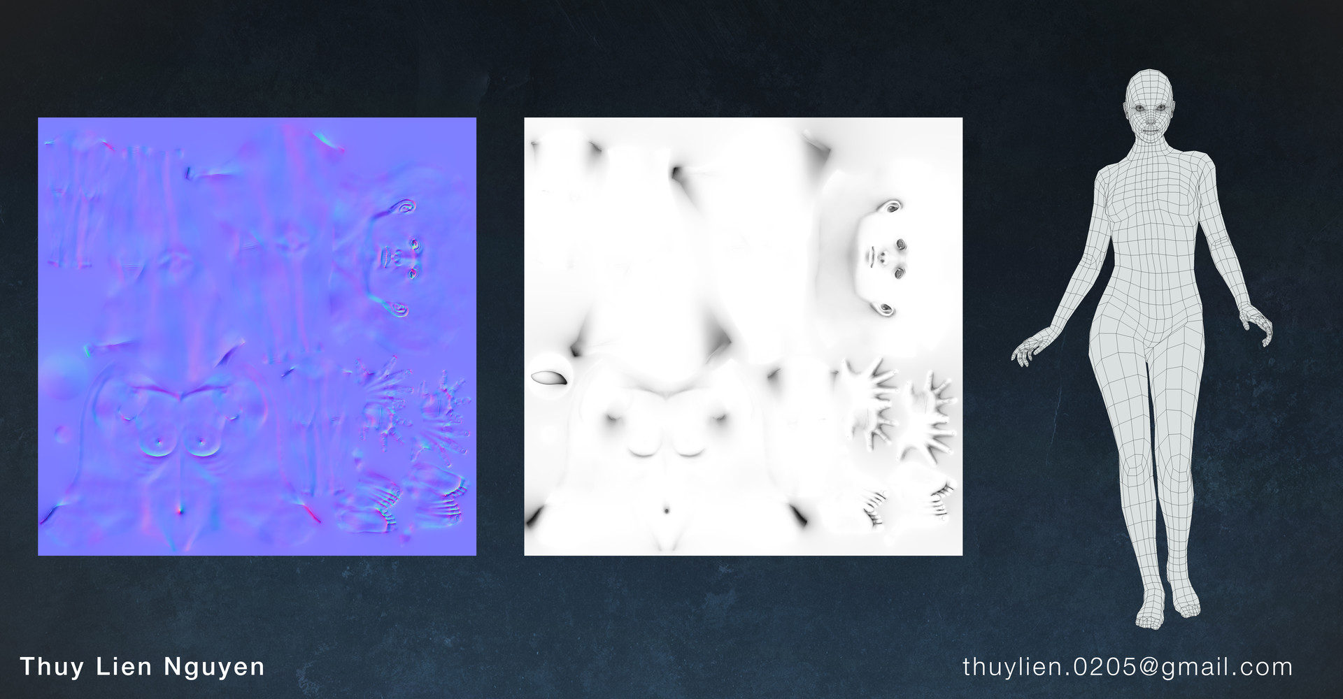 Ivy Lien Ford - Female Anatomy