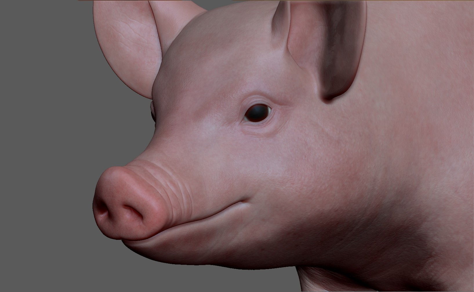 ArtStation - Pig