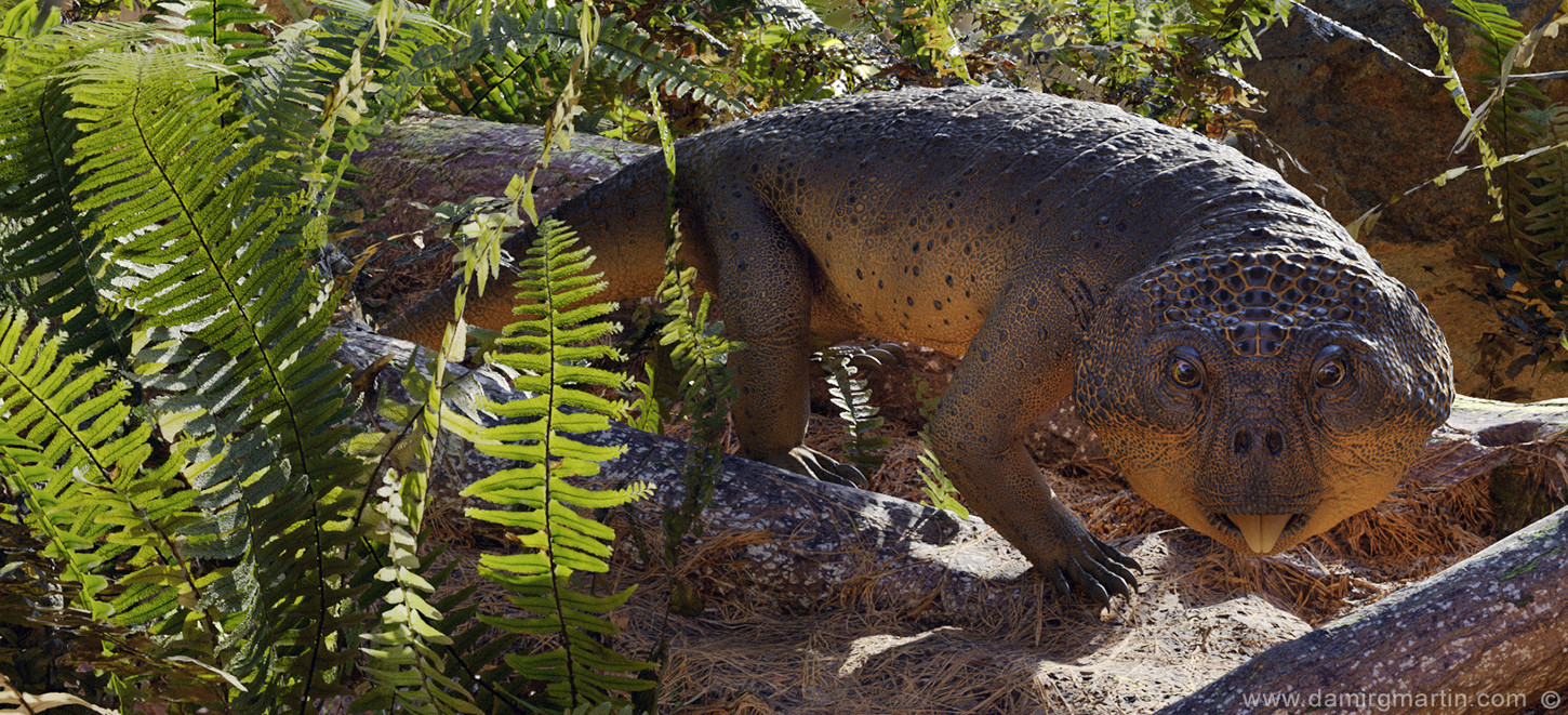 ArtStation - Hyperodapedon