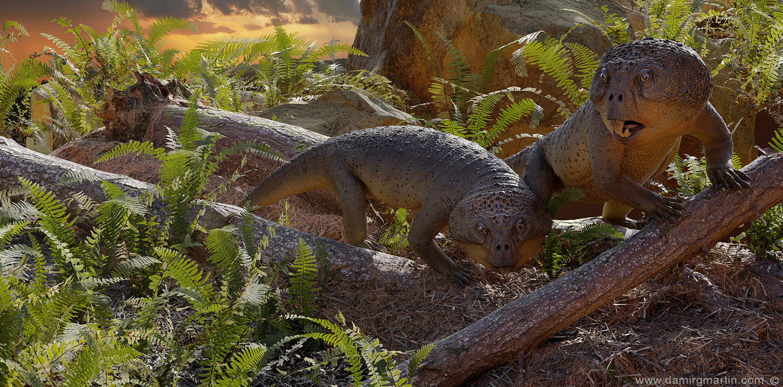 Damir G Martin - Hyperodapedon