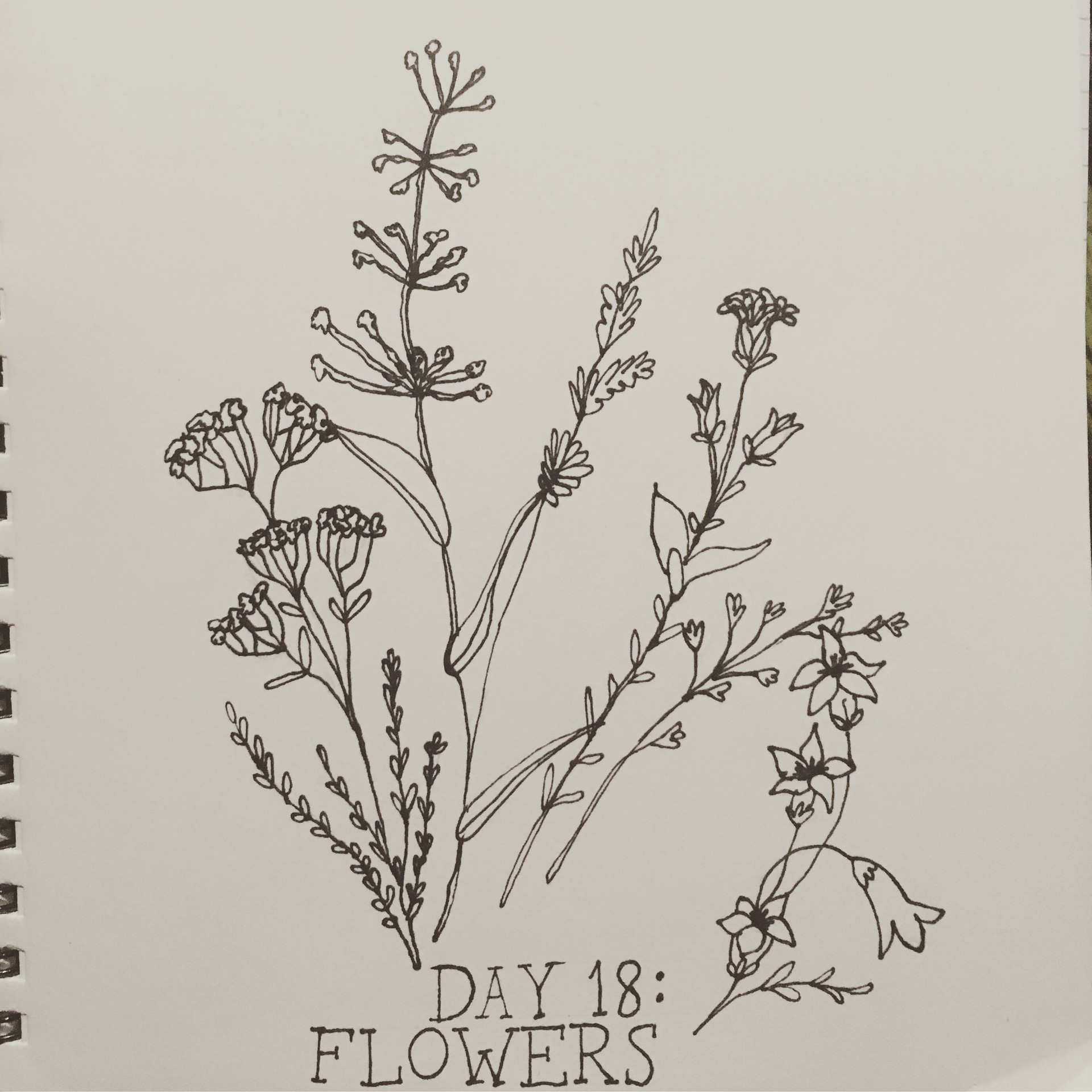 ArtStation - “Inktober” Day 18: Flowers