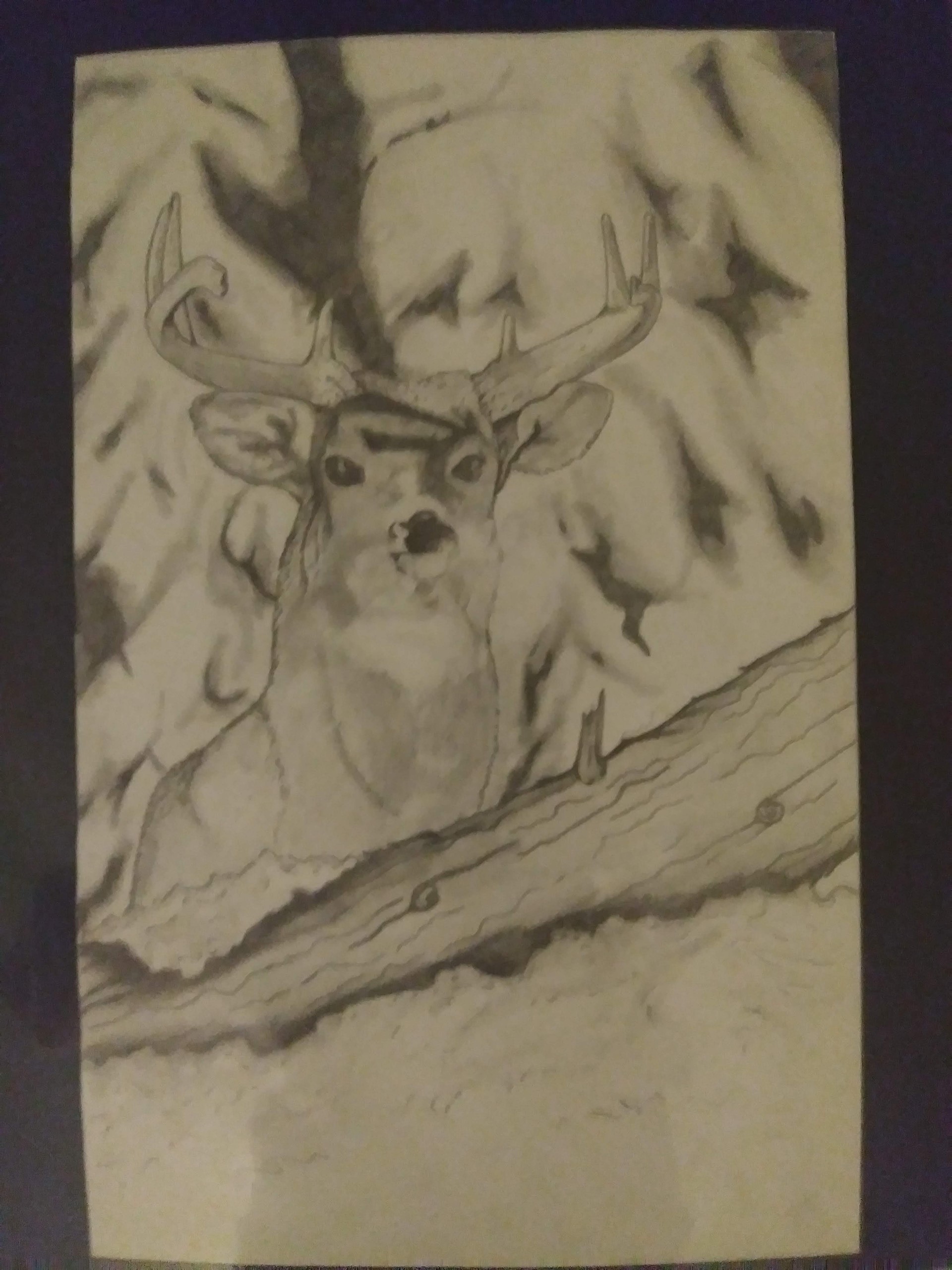 ArtStation - Big buck