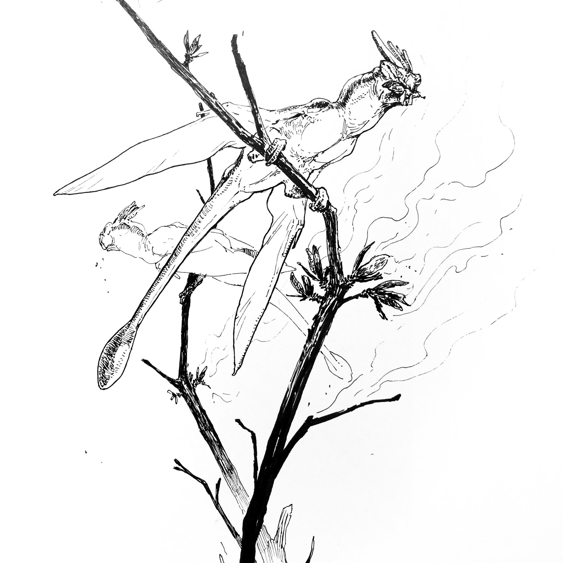 alexander-ostrowski-roasted.jpg (1920×1920)-花瓣网