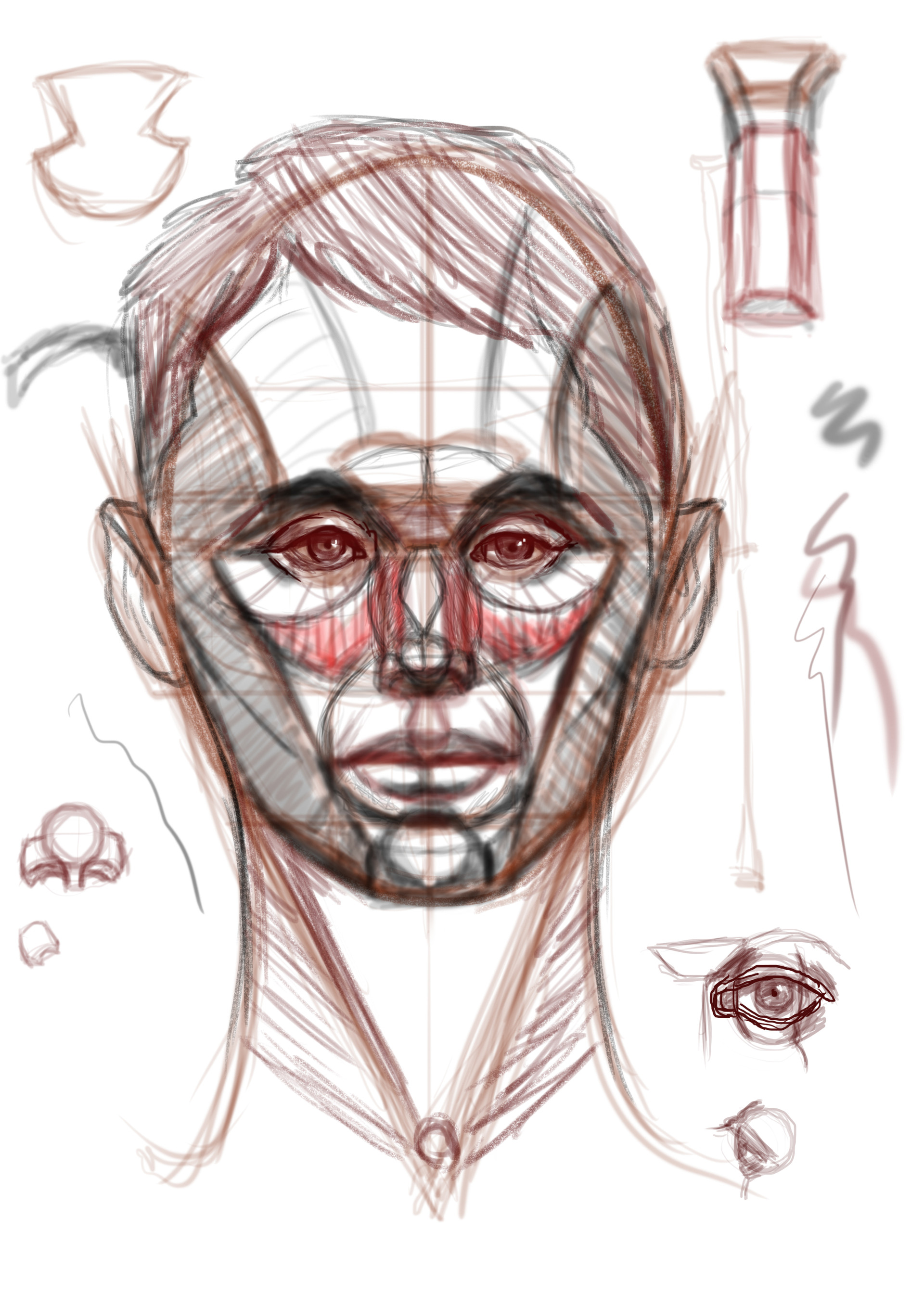 ArtStation - Face plan study (leran from https://stoneye.artstation.com/)