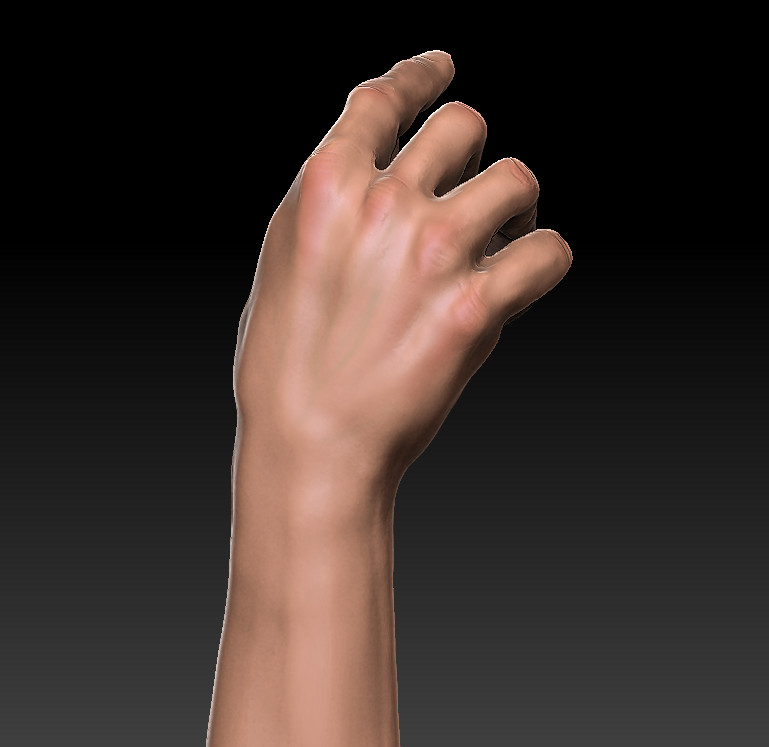 ArtStation - Hand Study