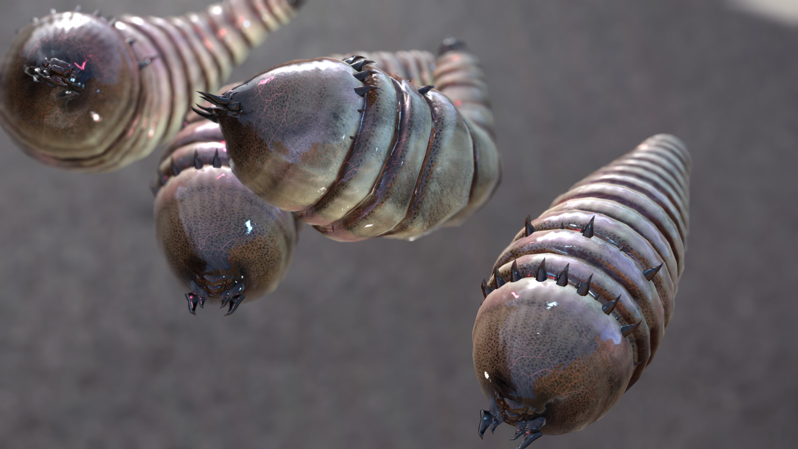 Brandan Lee - Bloatfly Larvae