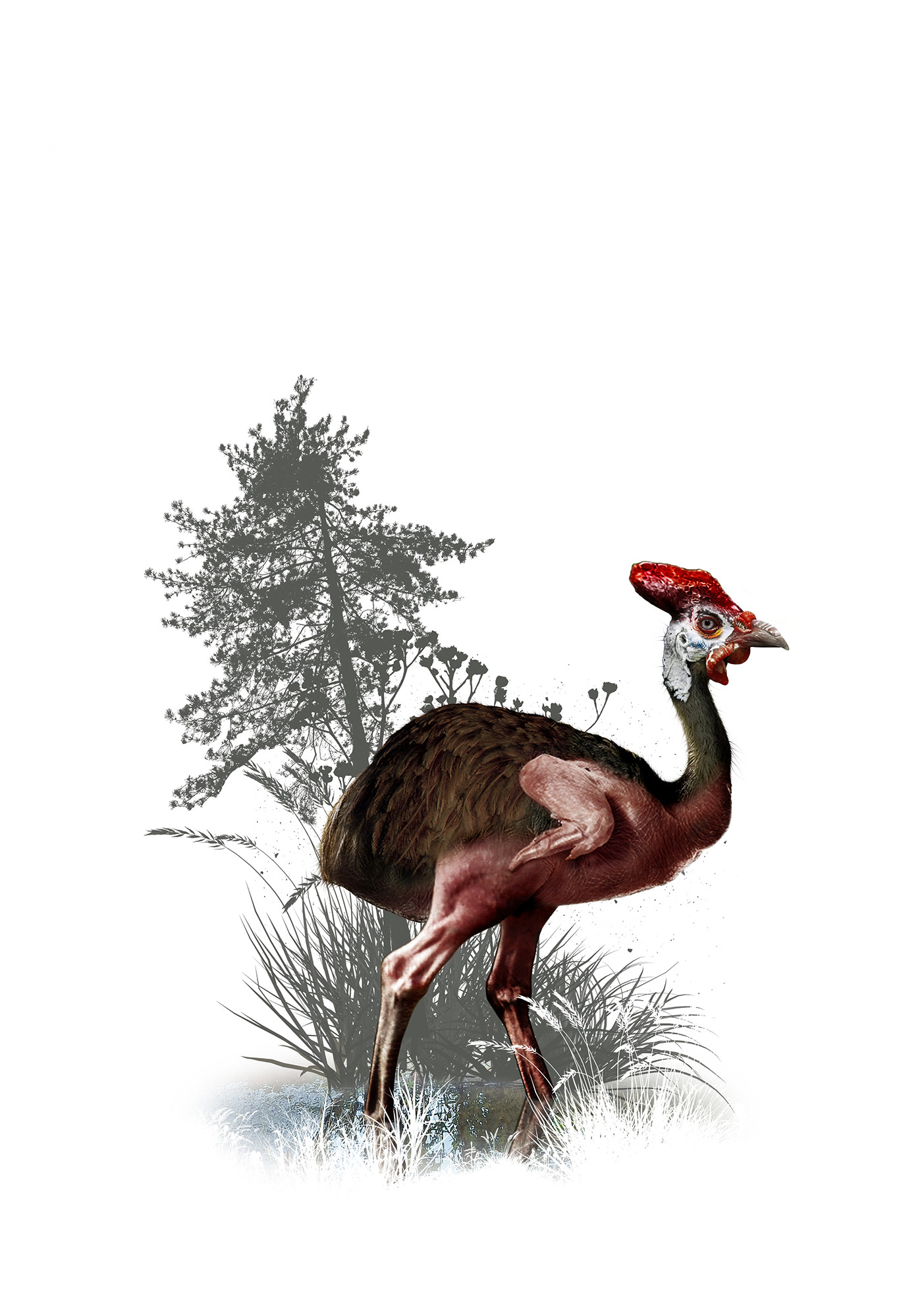 ArtStation - Speculative evolution.