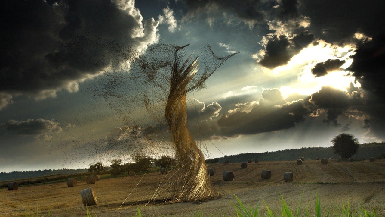 Ashkan Azarmi - Mask