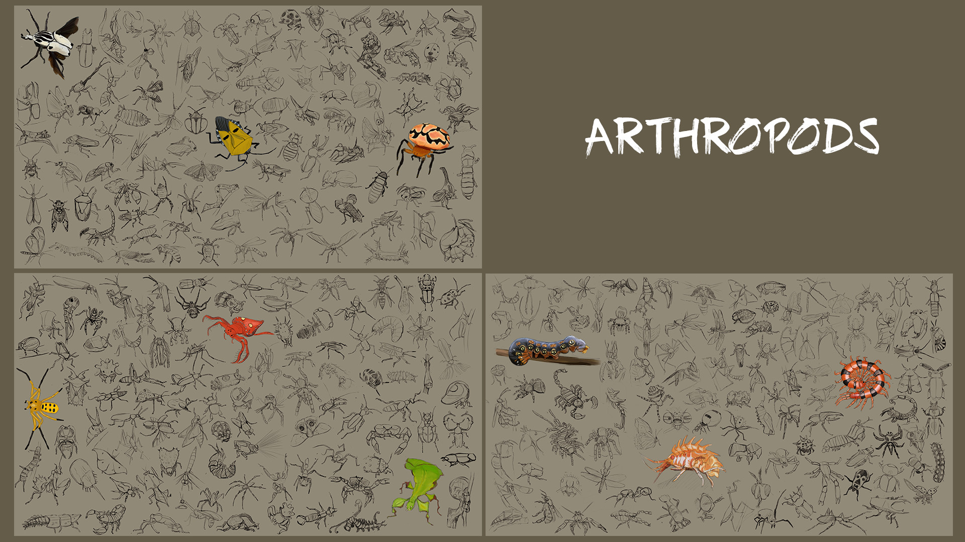ArtStation - Arthropods 🐞