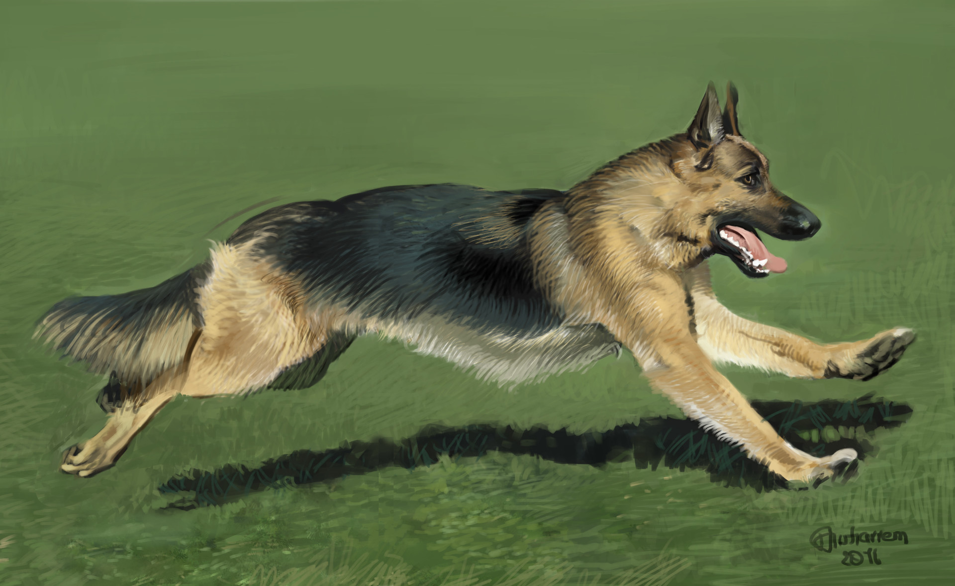 ArtStation - German Shepherd (My First Digital Art)