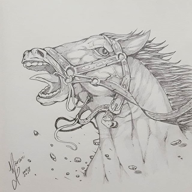 how to draw war horse