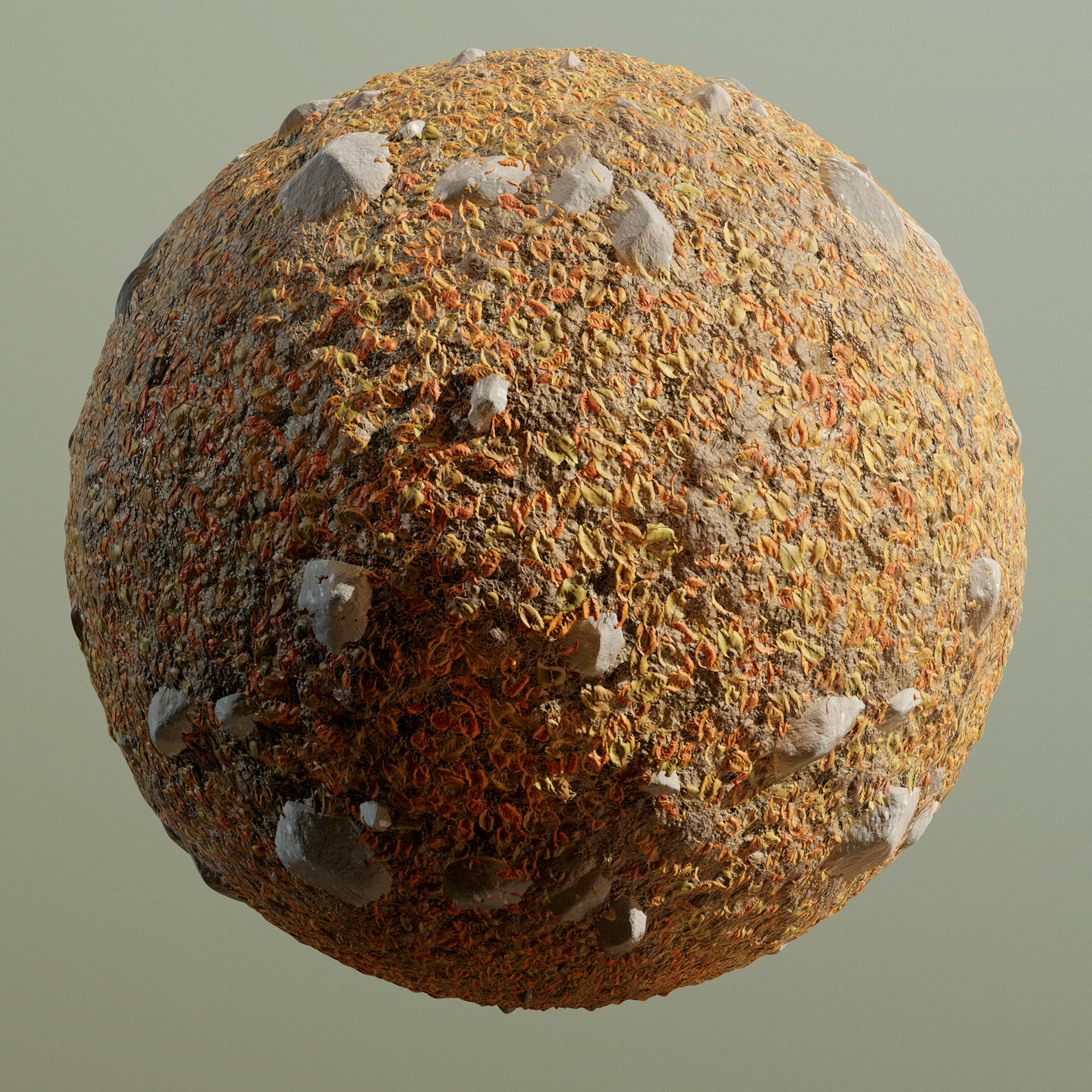 Léo Machado - Beech Forest - Breakdown