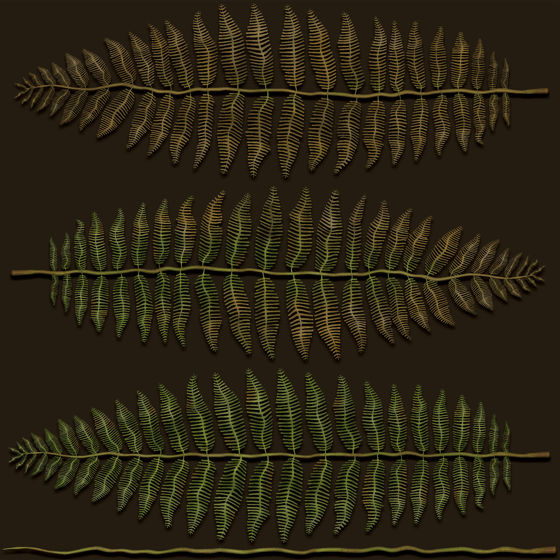 Léo Machado - Beech Forest - Breakdown