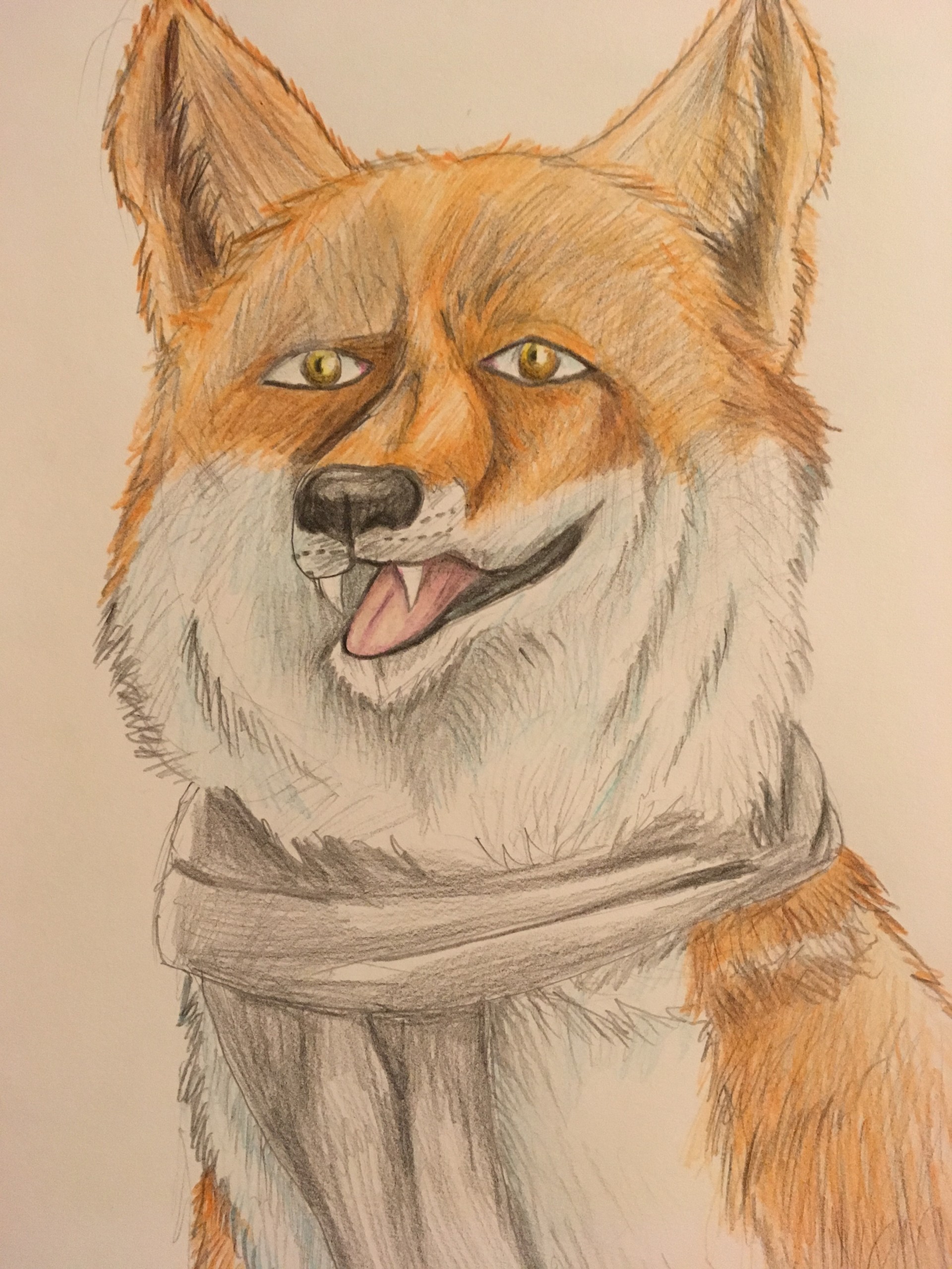 ArtStation - Cozy Fox