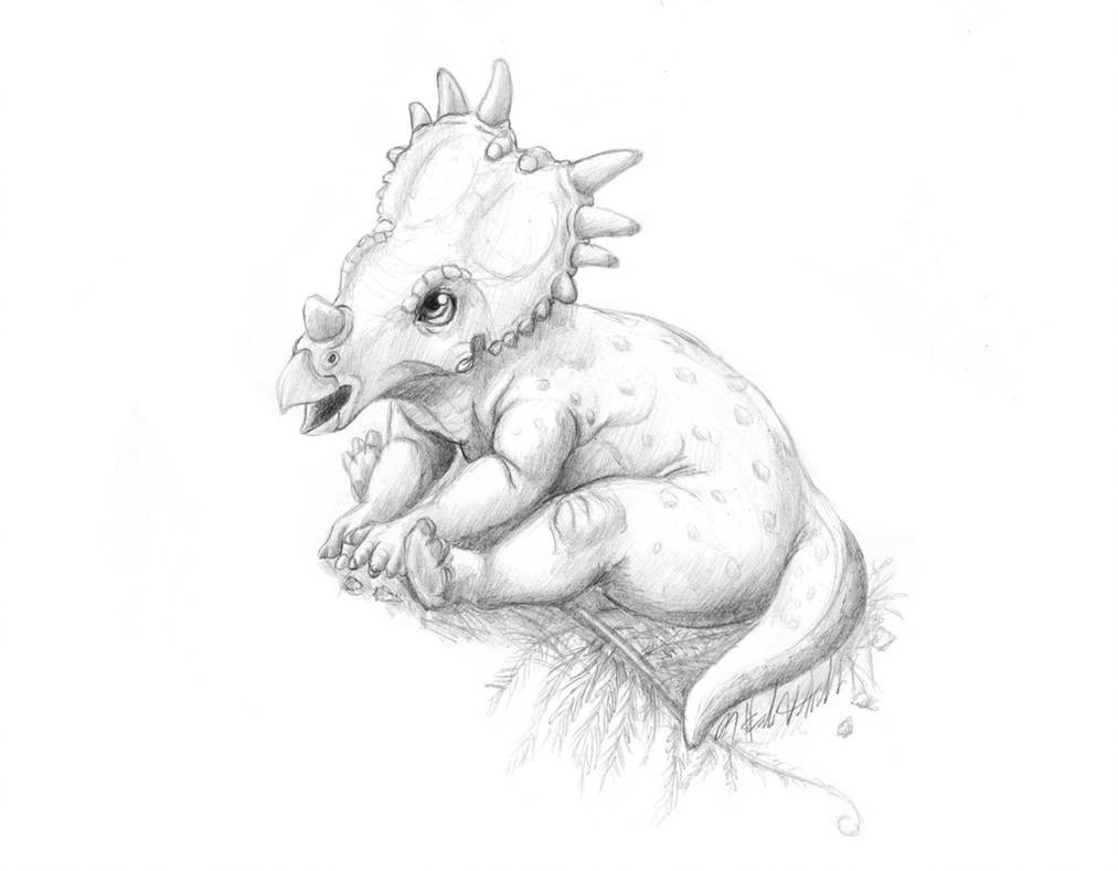 styracosaurus coloring