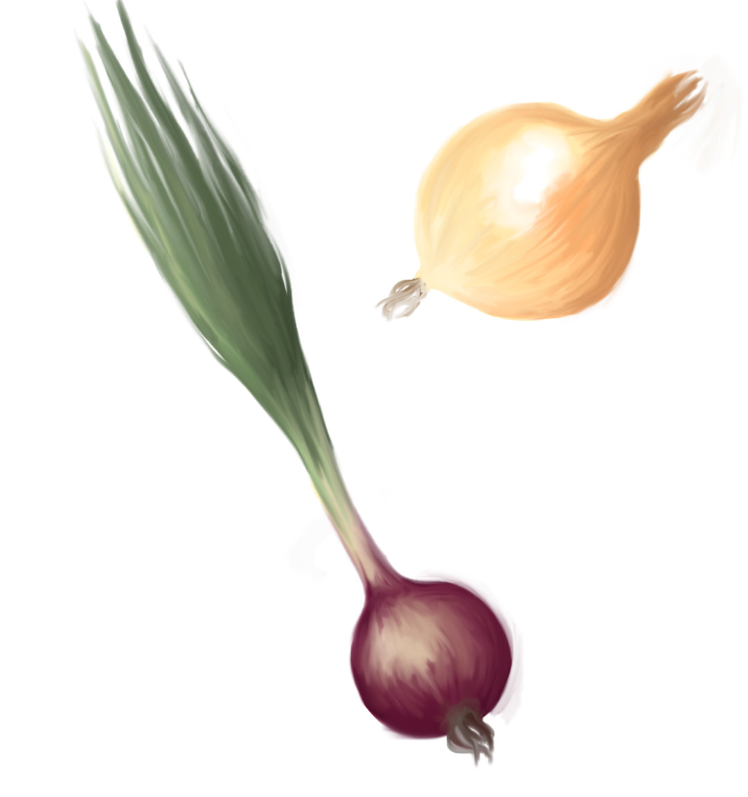 ArtStation - Onions!
