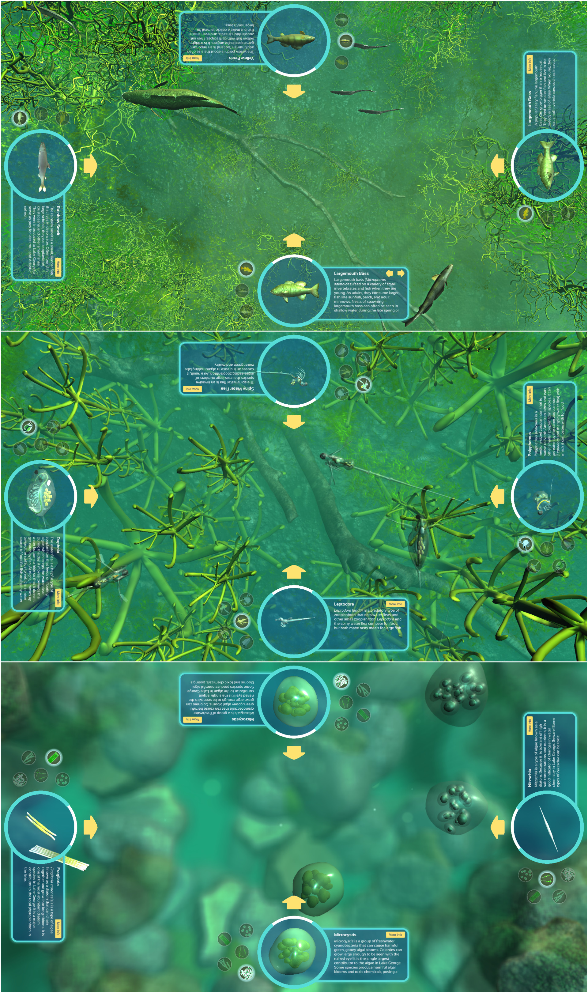 Sam Chung - World of Plankton Touch: Interactive Ecological Game (2018)