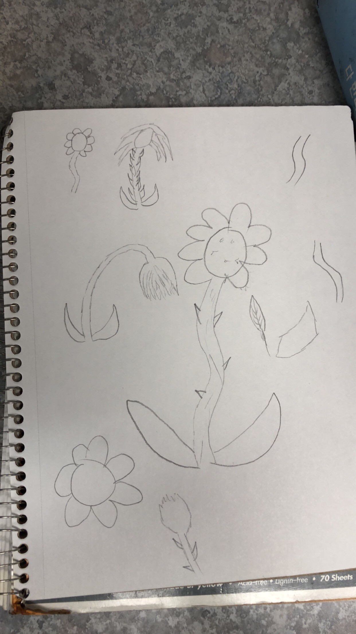 ArtStation - Flower sketches