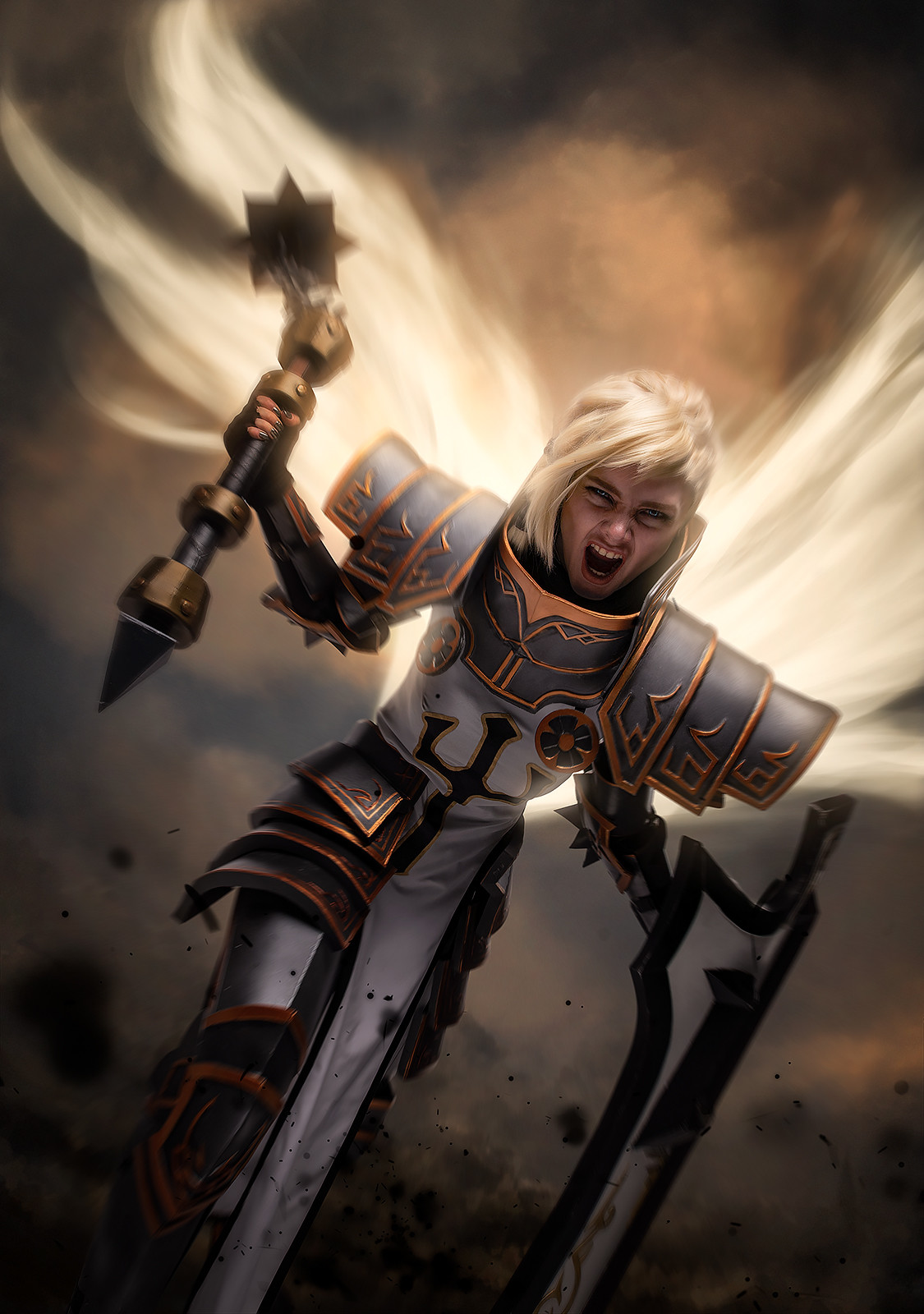 Diablo 3 Female Crusader Wallpaper