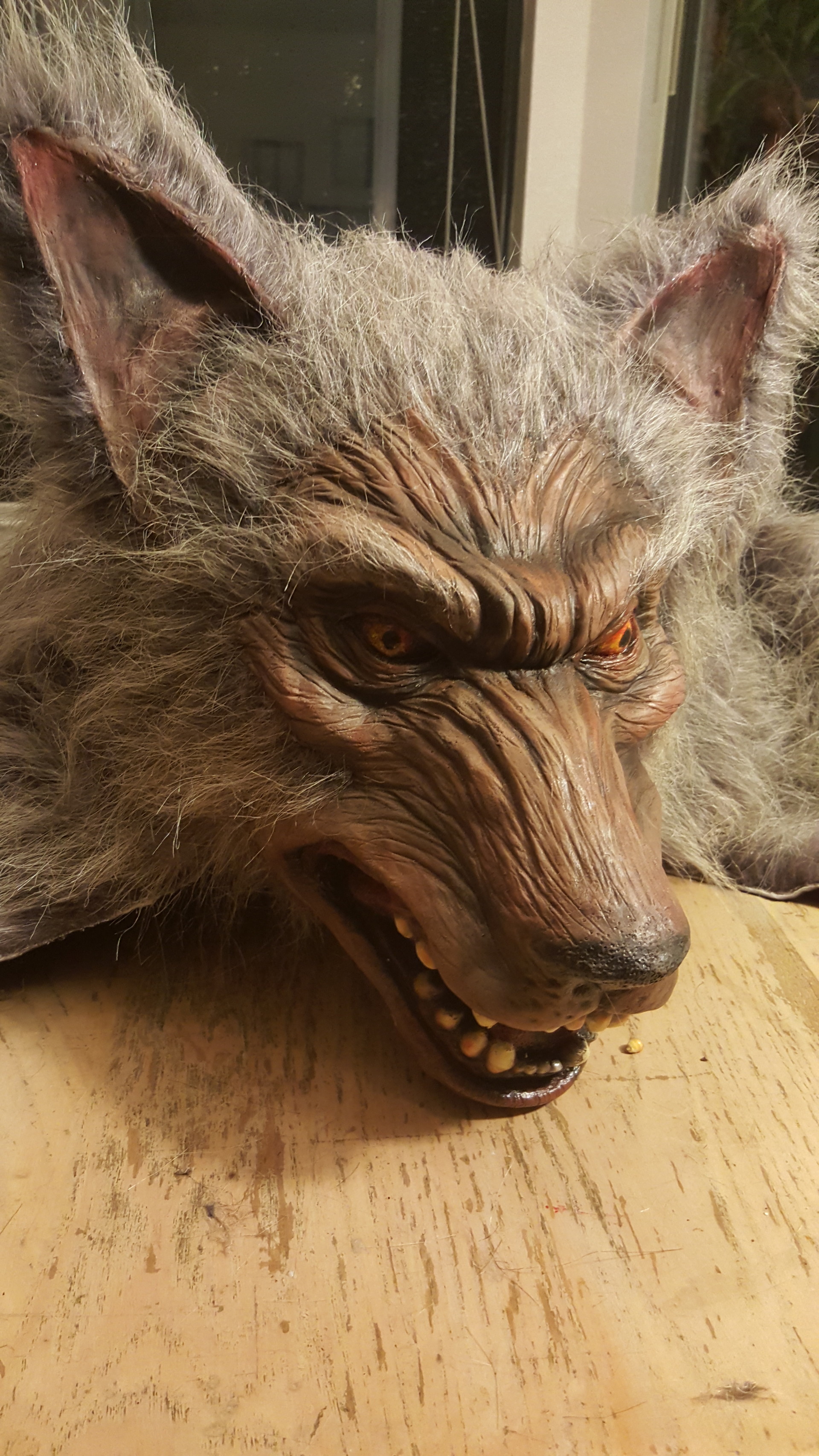 ArtStation - Werewolf skin rug