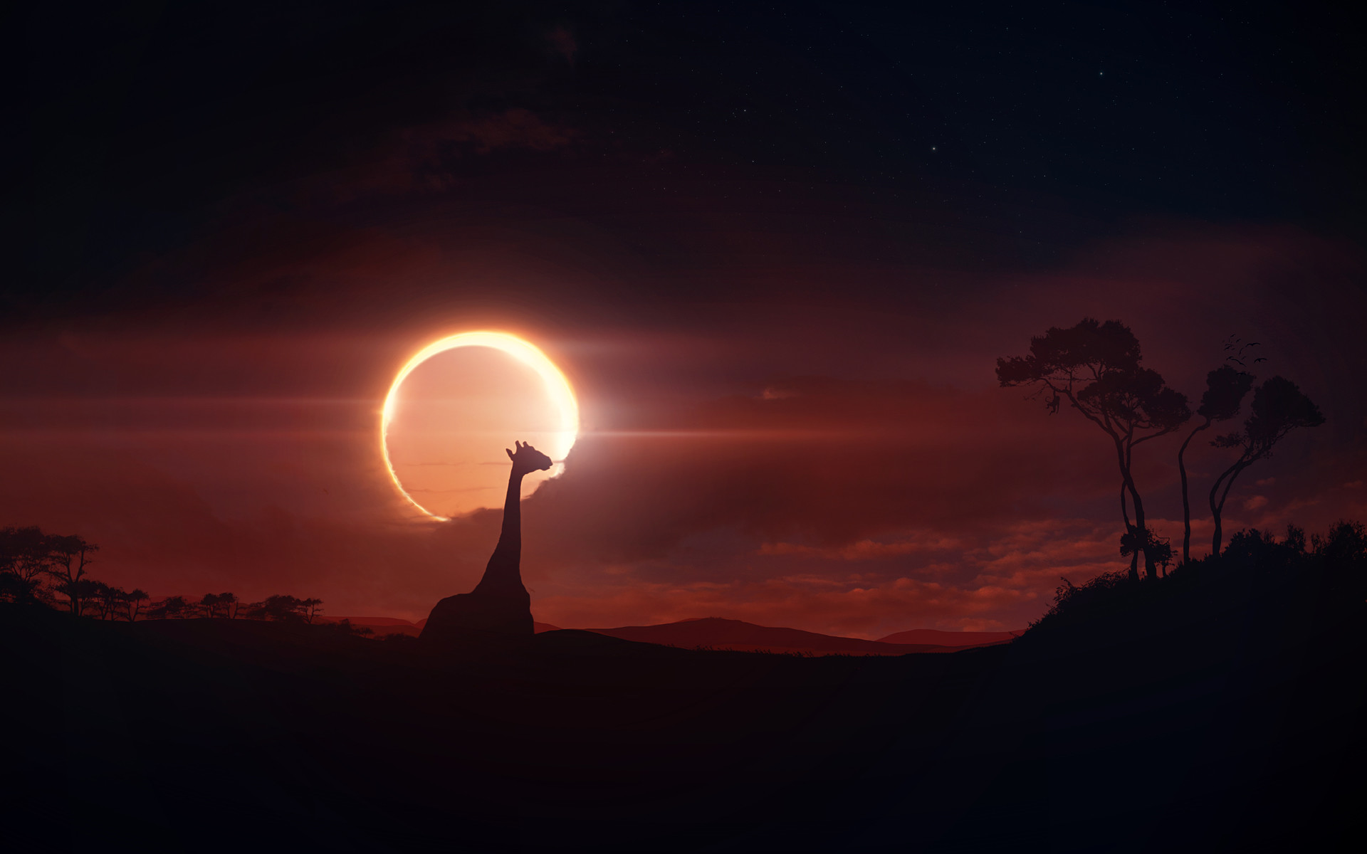 ArtStation - Eclipse