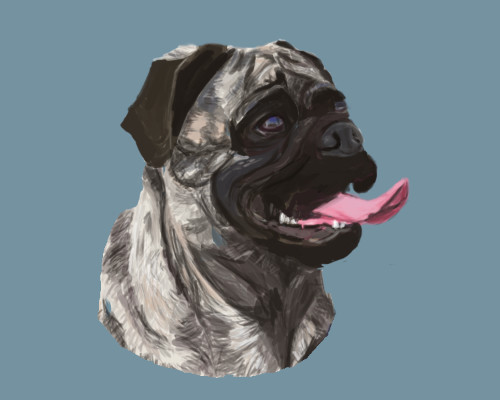 ArtStation - Pug