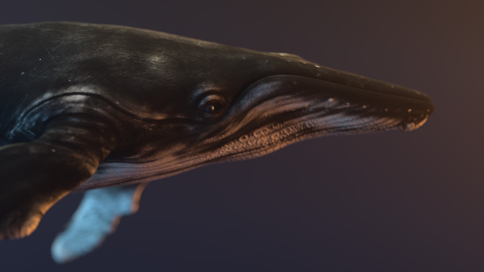 ArtStation - Whale_v48_18AR