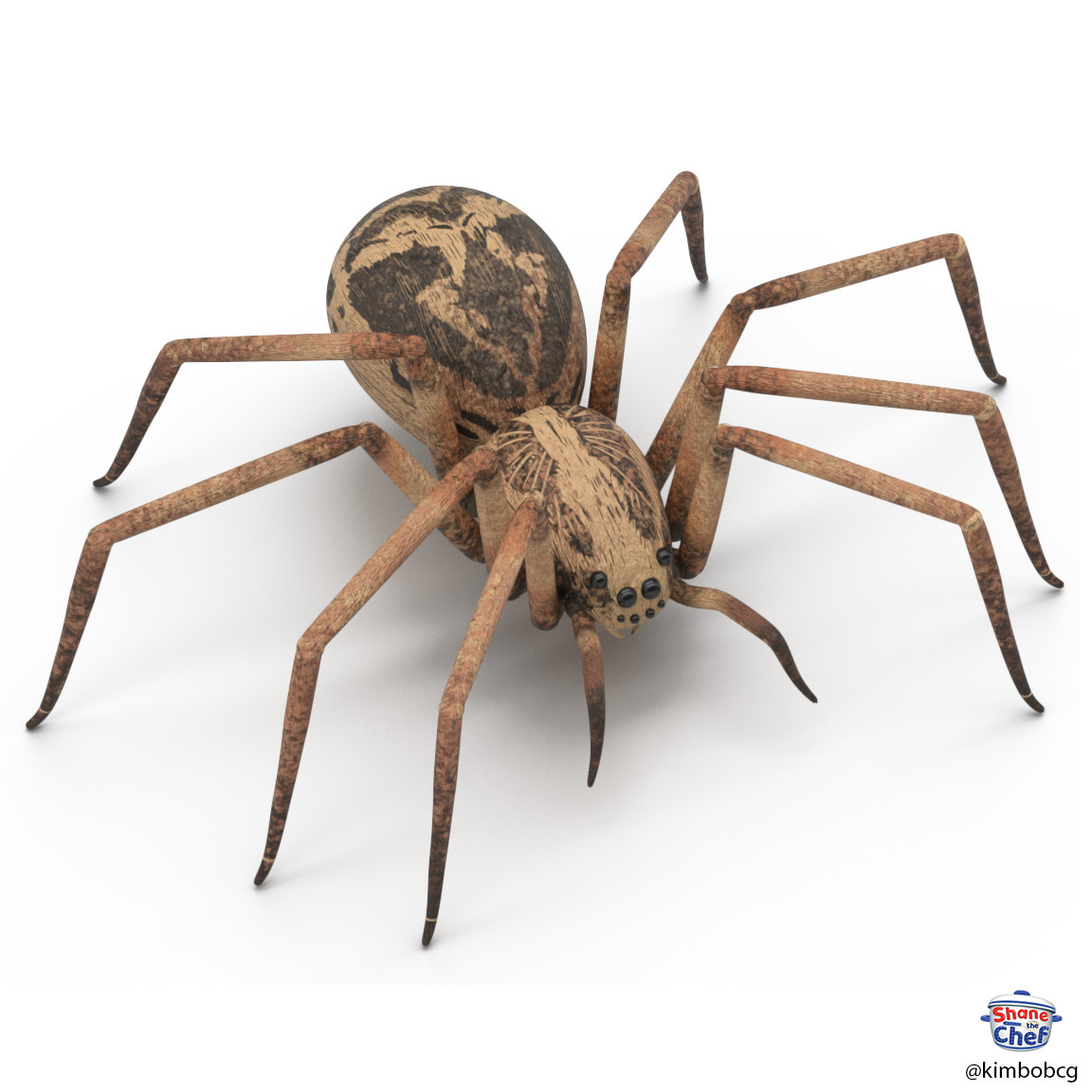 ArtStation - Shane the Chef - Spider