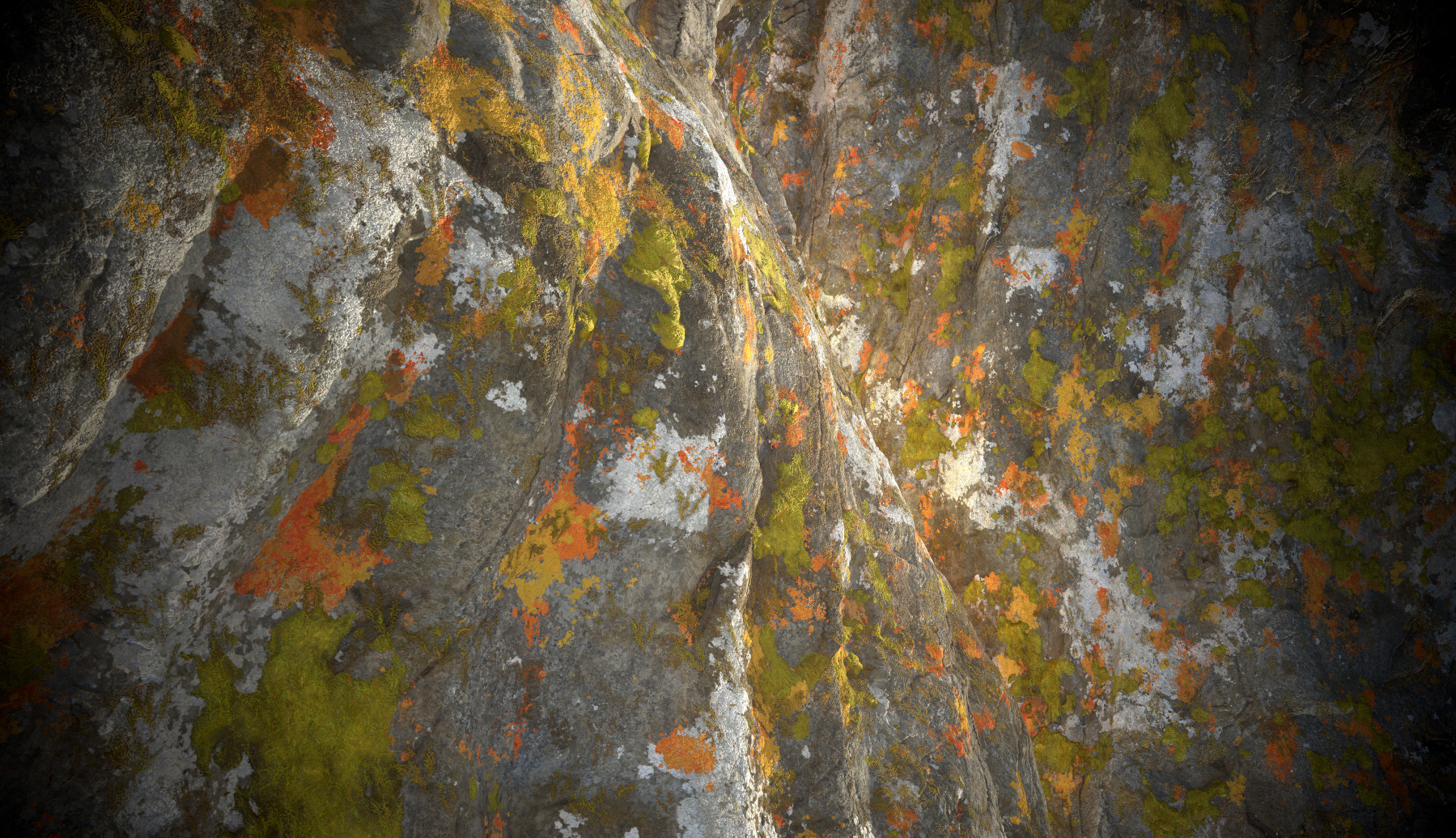 ArtStation - Lichen Wall Study