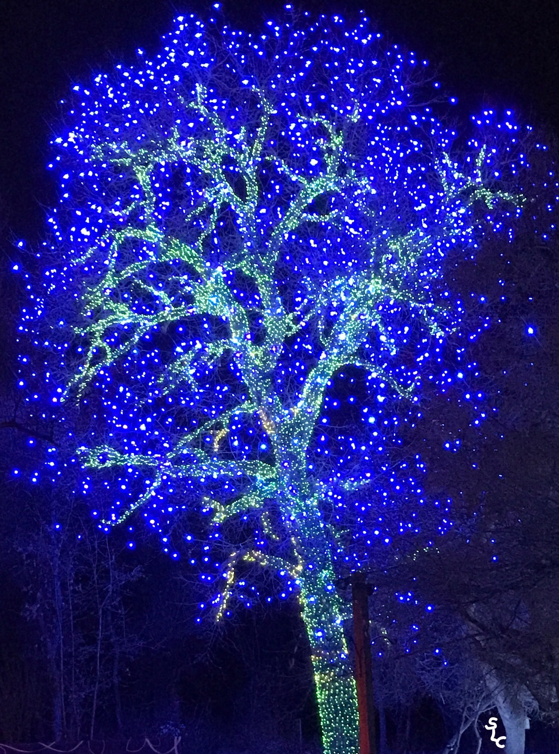 ArtStation - The Celebration Tree