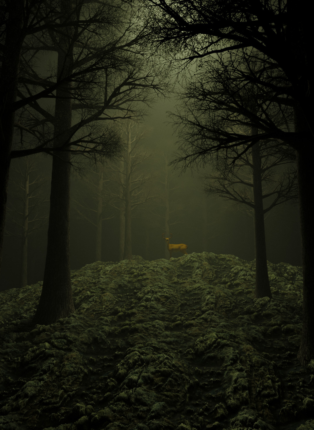 Philipp Taplan - Dark Forest